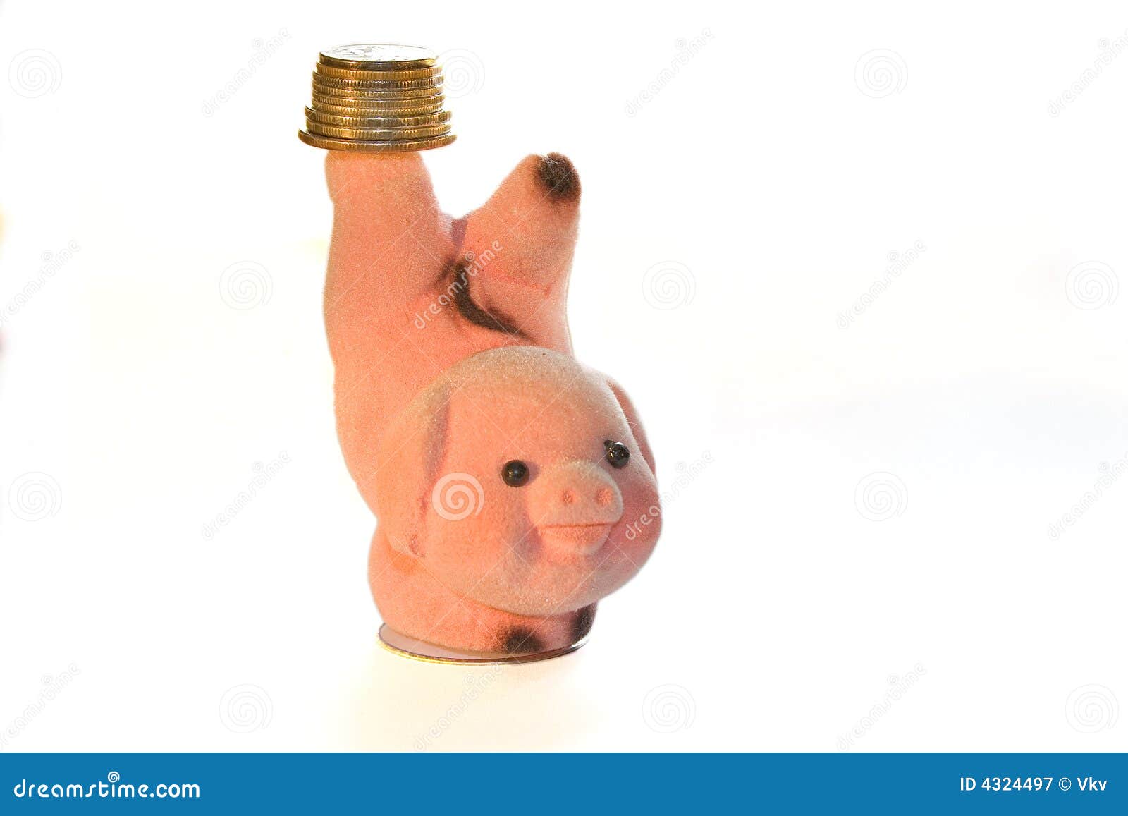 Balance pig stock image. Image of economic, piglet, finances - 4324497