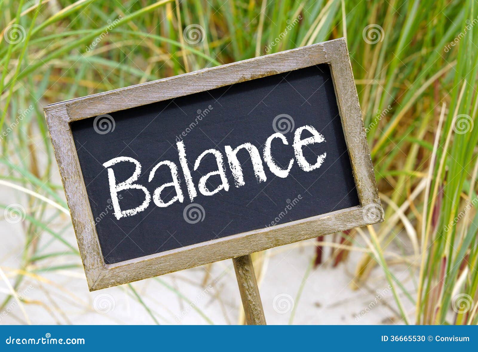 Balance sign stock photo. Image of background, dune, grass - 36665530