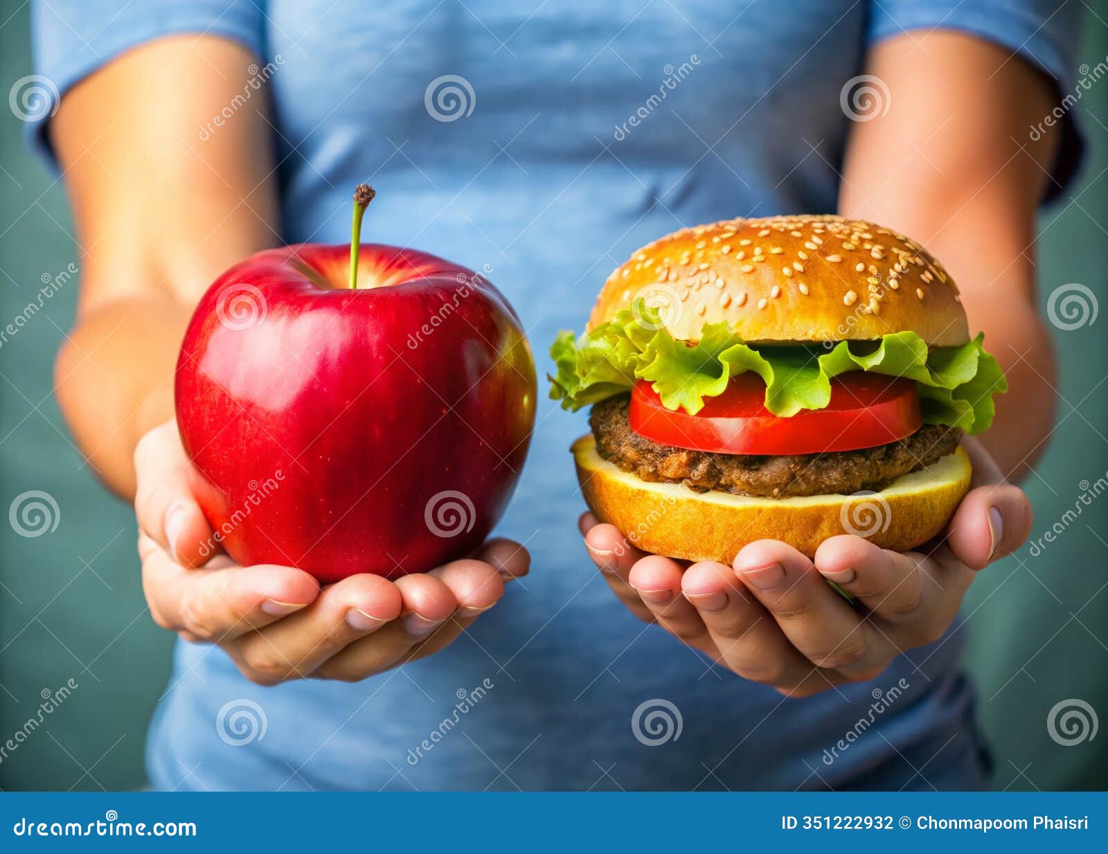 Visual Comparison Of Human Brain And Bird Brain Royalty-Free Stock ...