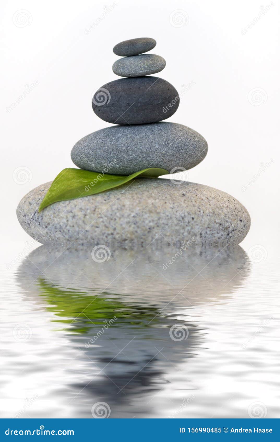 Balanced Pebble and Leaf Across Water Stock Image - Image of purity ...