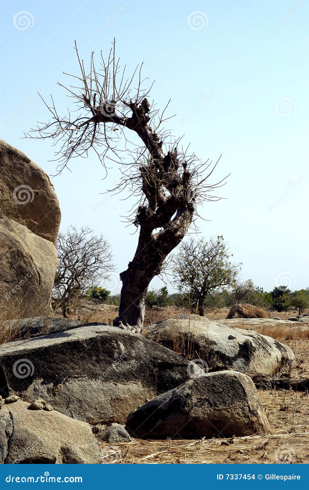 Balanced rocks in Africa stock photo. Image of burkino - 7337454