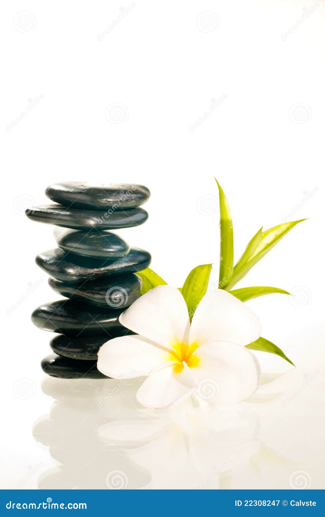 Balanced Zen Stones with Flower and Bamboo Stock Image - Image of fresh ...