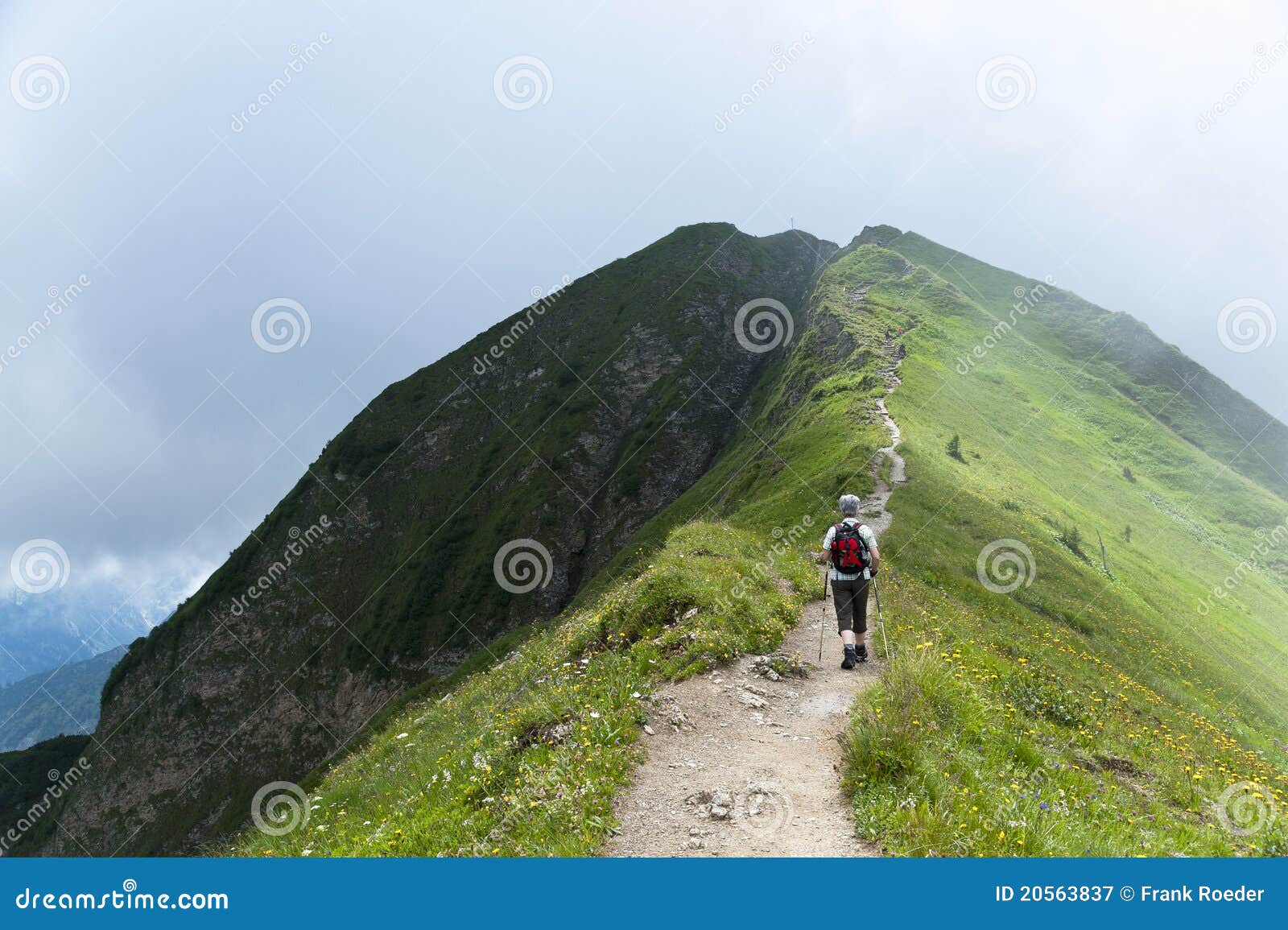 Balancing act stock image. Image of sticks, fellhorngrat - 20563837