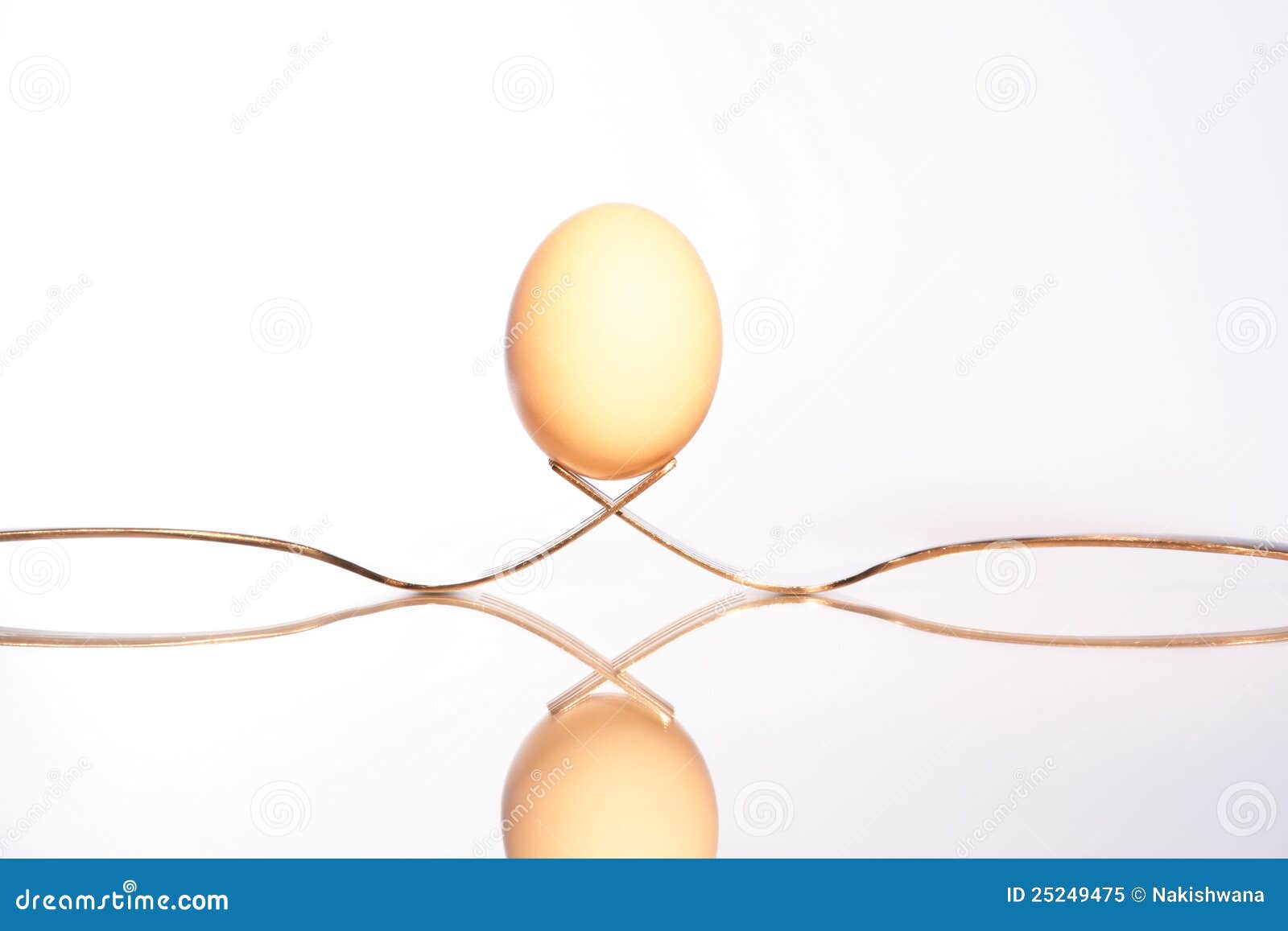 Balancing Egg stock image. Image of eggs, reflection - 25249475