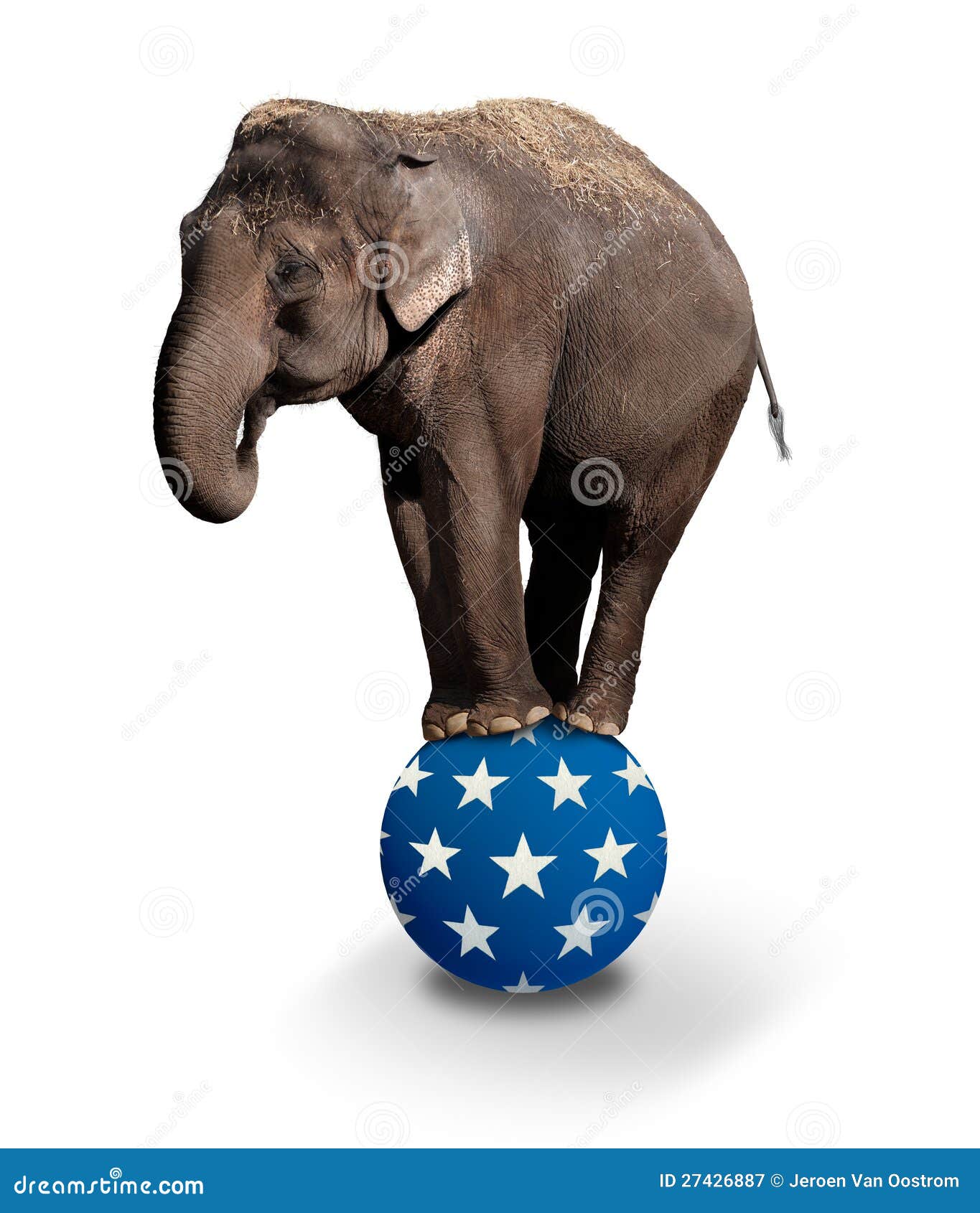 Balancing Elephant stock image. Image of metaphor, blue - 27426887
