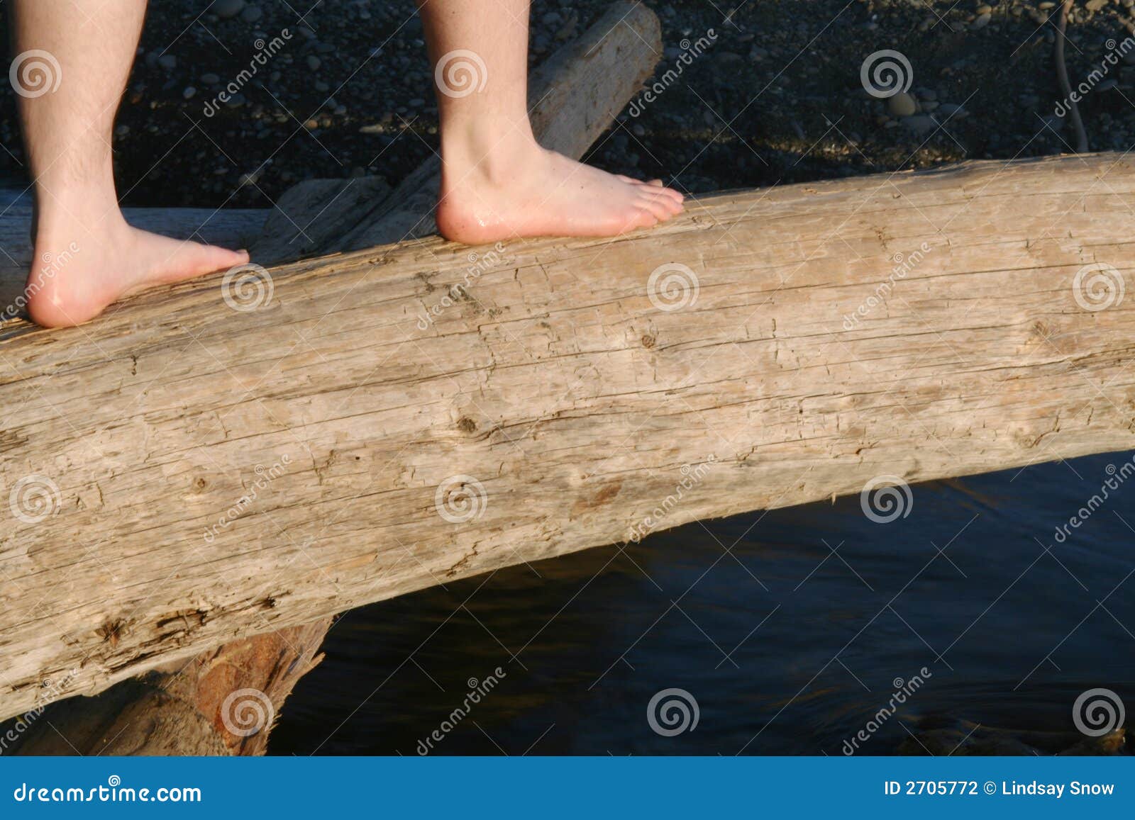 Balancing on log stock photo. Image of crossroads, cool - 2705772