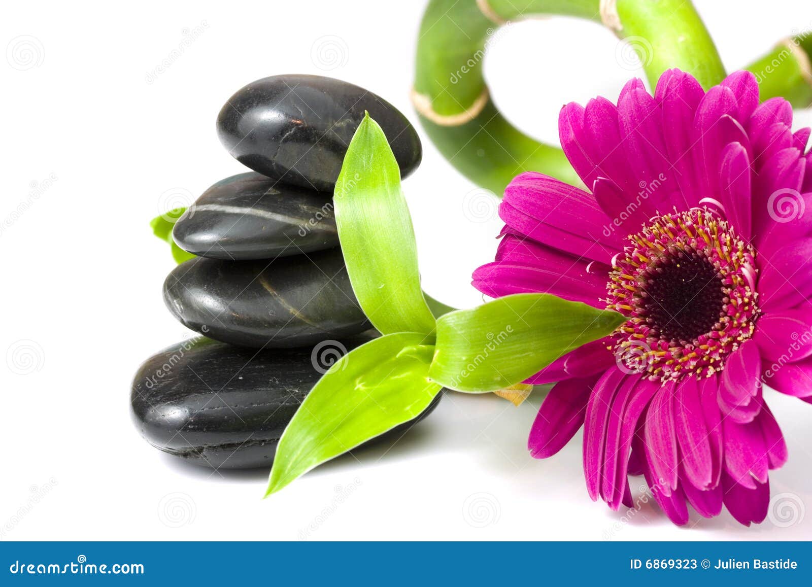 Balancing Pebbles with Bamboo and Daisy Flower Stock Image - Image of ...