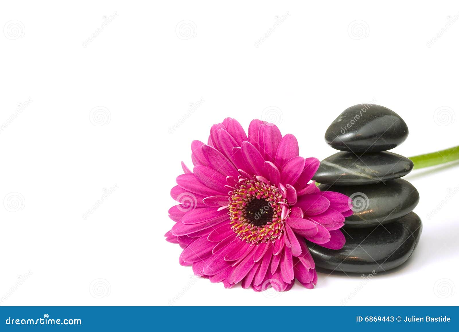 Balancing Pebbles and Daisy Flower Stock Image - Image of nature ...