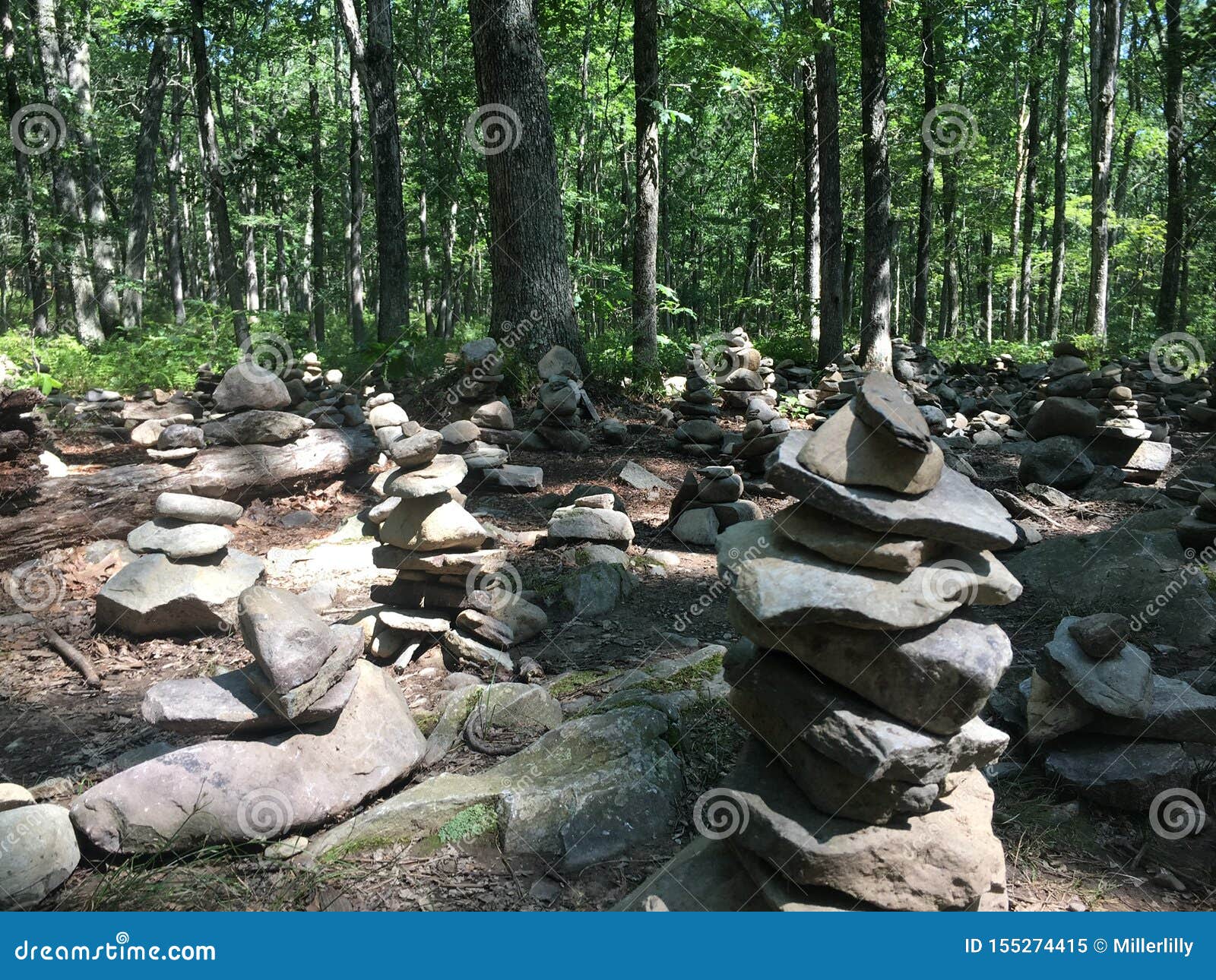 Balancing Stones in the Green Forest Stock Image - Image of serenity ...