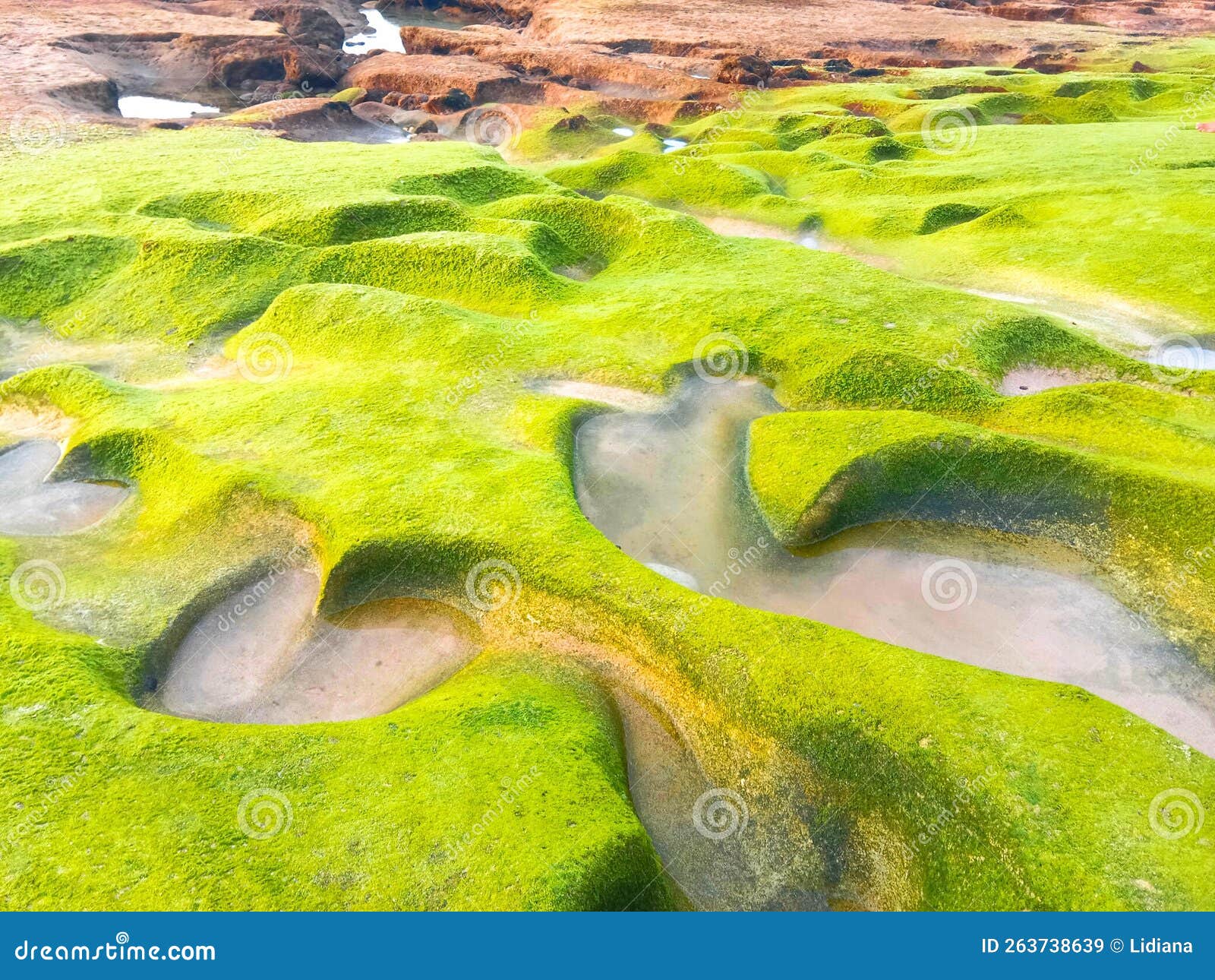 Balangan beach Uluwatu stock image. Image of grass, landscape - 263738639