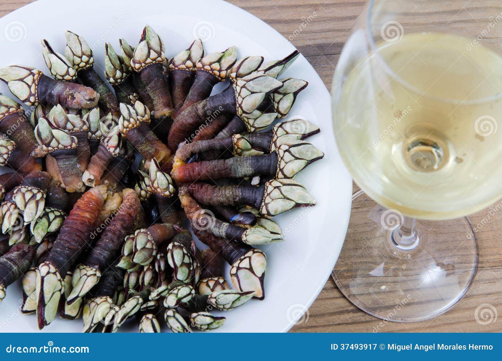 Balani e vino immagine stock. Immagine di pranzo, buongustaio - 37493917