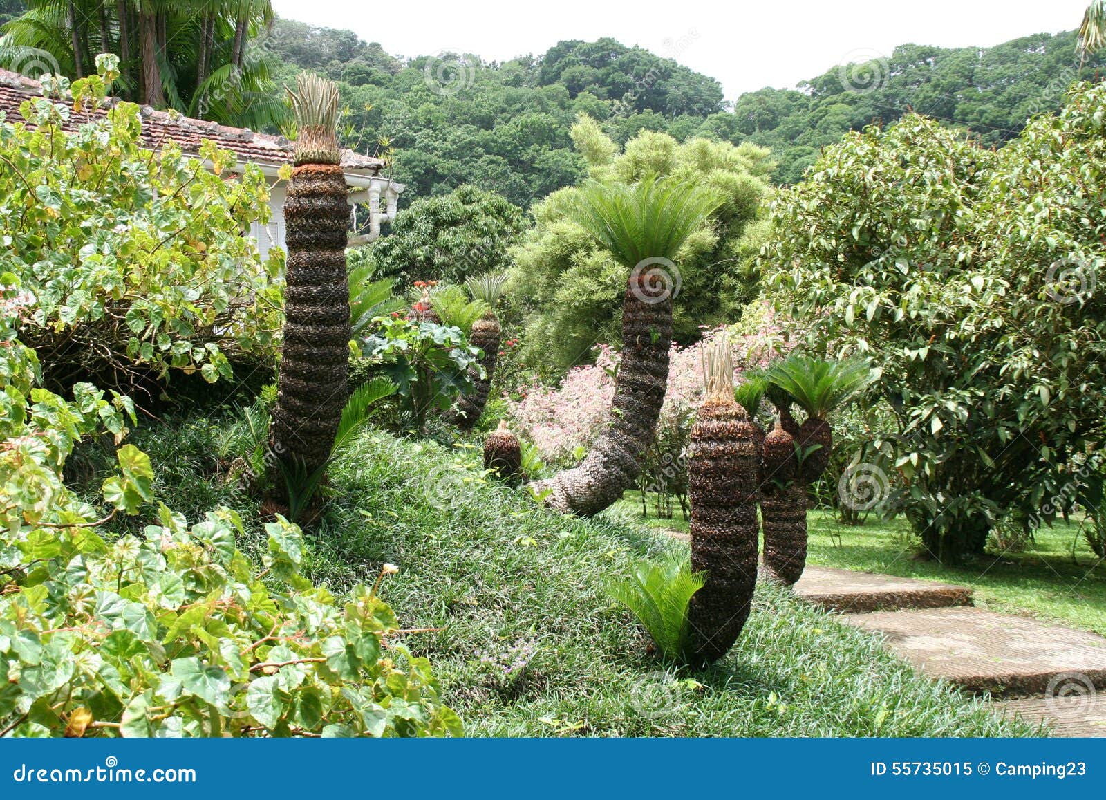 693 Balata Stock Photos - Free & Royalty-Free Stock Photos from Dreamstime