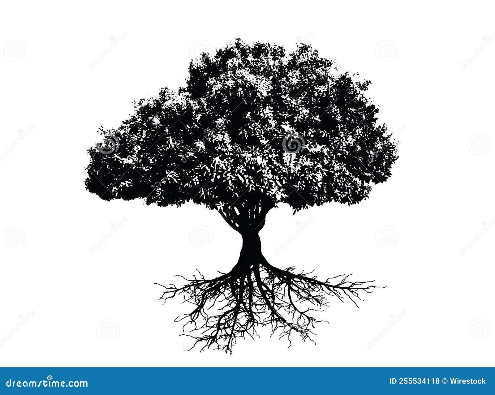 Balck Tree with Roots Isolated on White Background. Tree Sample for ...