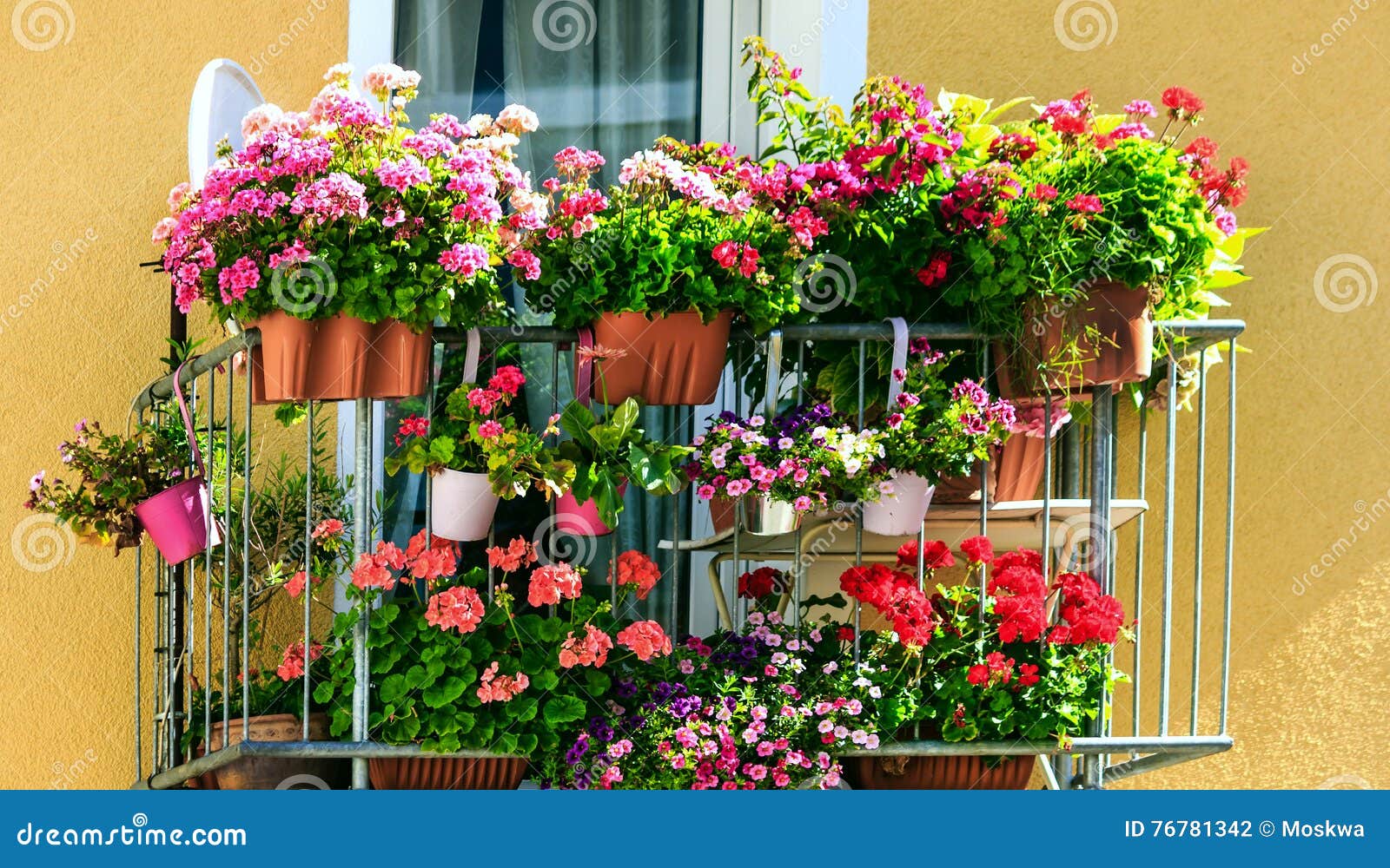 Balcone Con Molti Vasi Da Fiori Fotografia Stock - Immagine di petunia ...