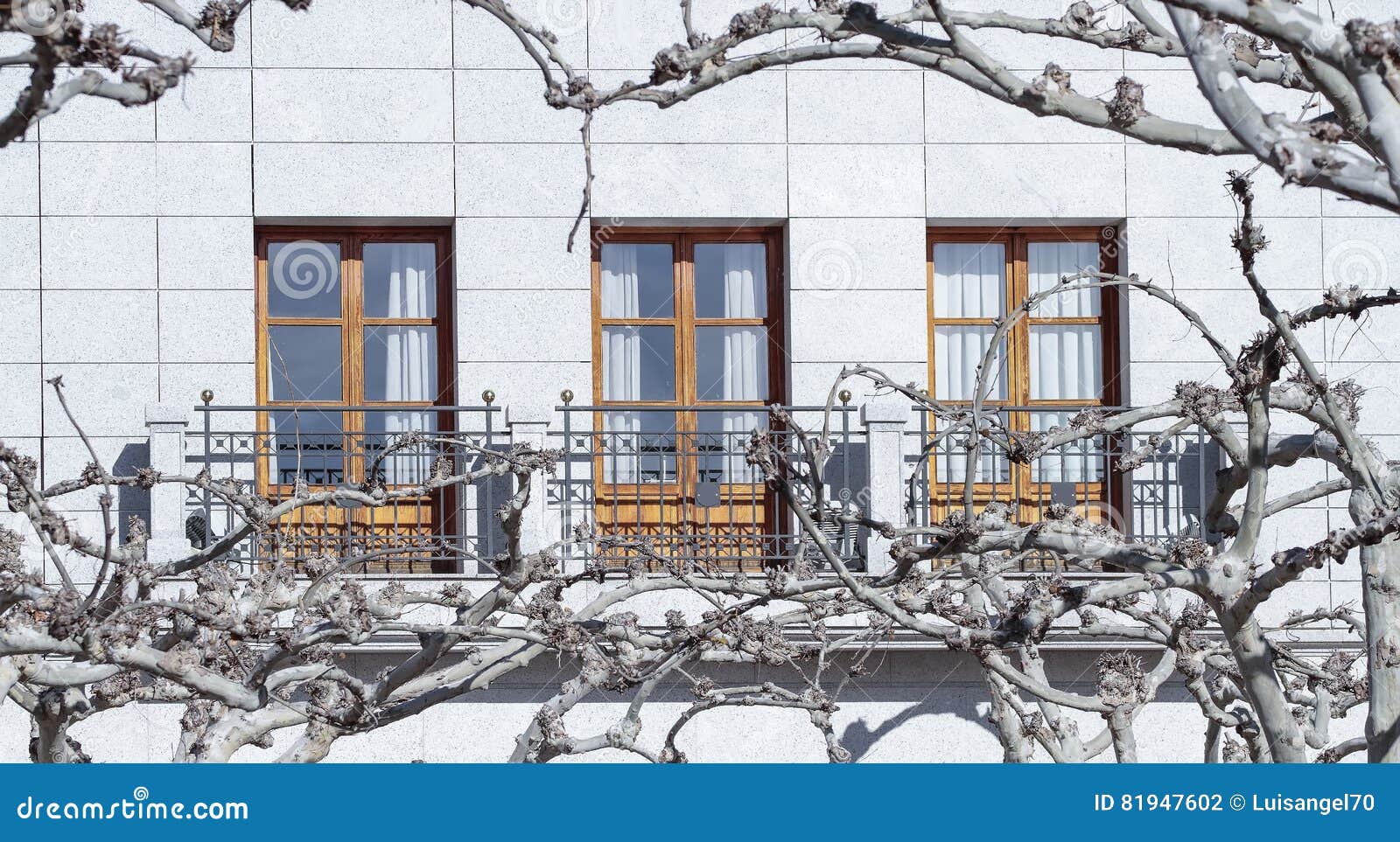 Balcony Behind the Branches Stock Photo - Image of architectural, frame ...