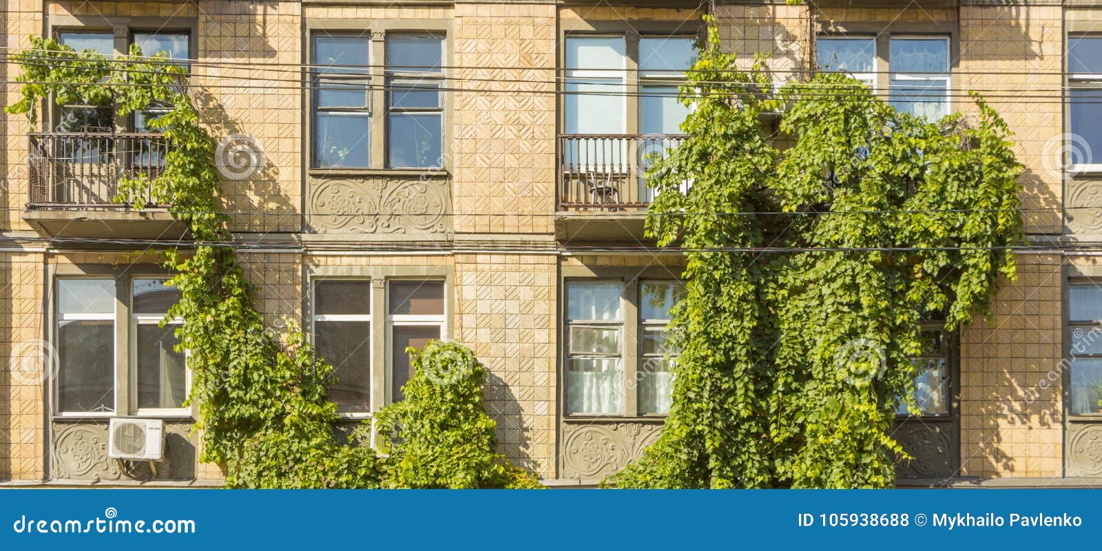 The Balcony is Covered with Vines of Wild Grapes. Decorating the Facade ...
