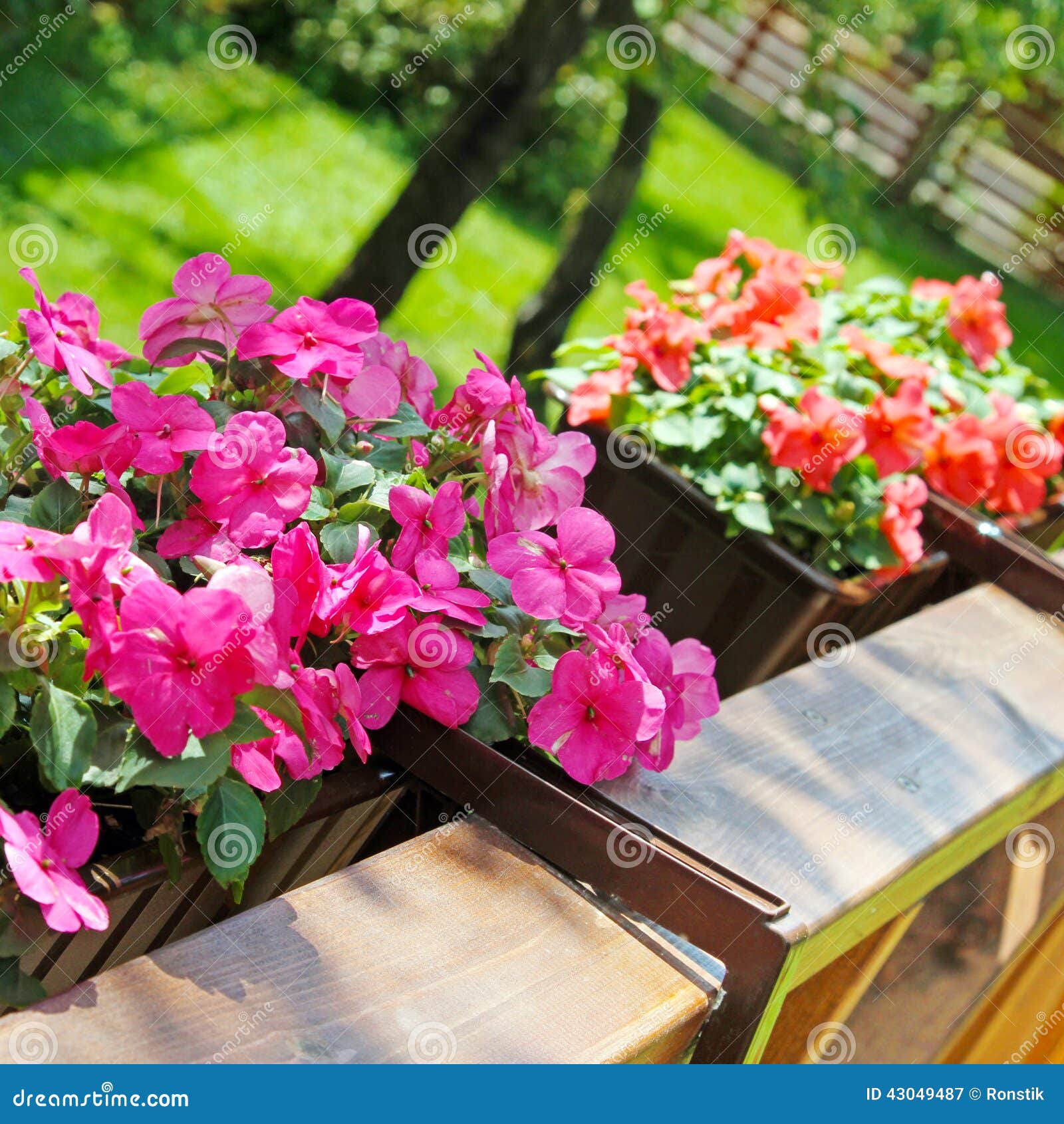 Balcony Flower Boxes Filled with Flowers Stock Image - Image of ...