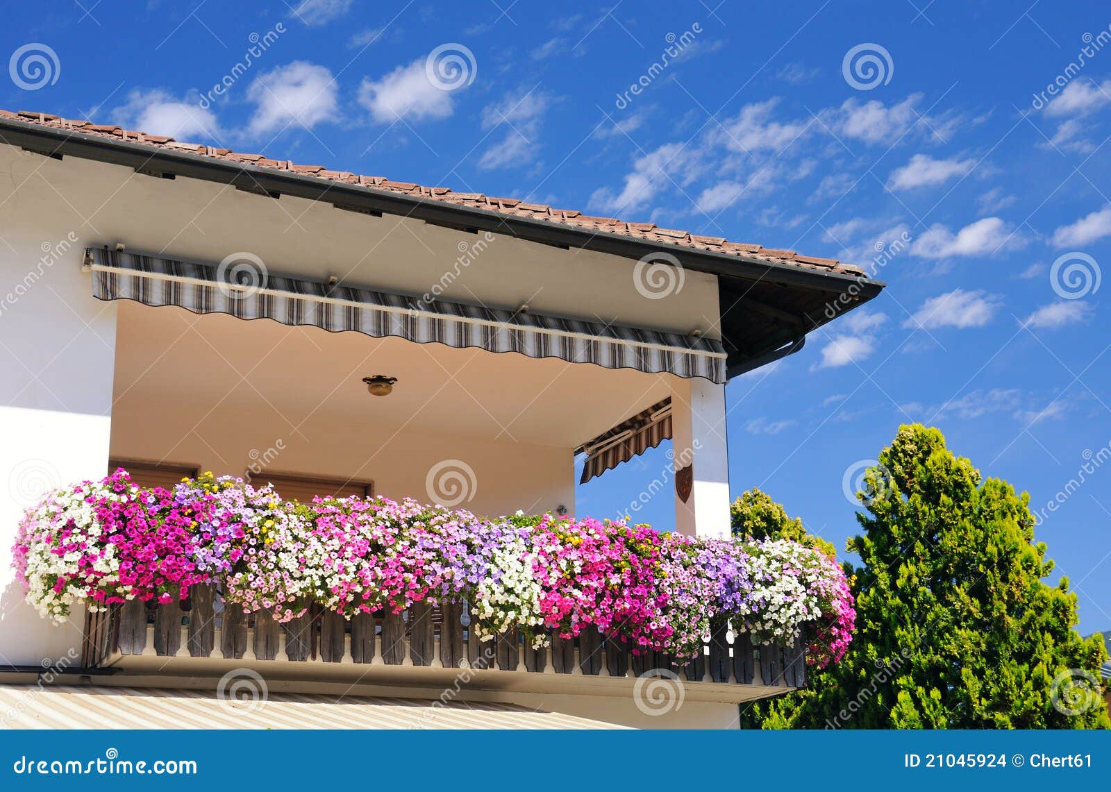 Balcony with flowers stock photo. Image of cultivated - 21045924