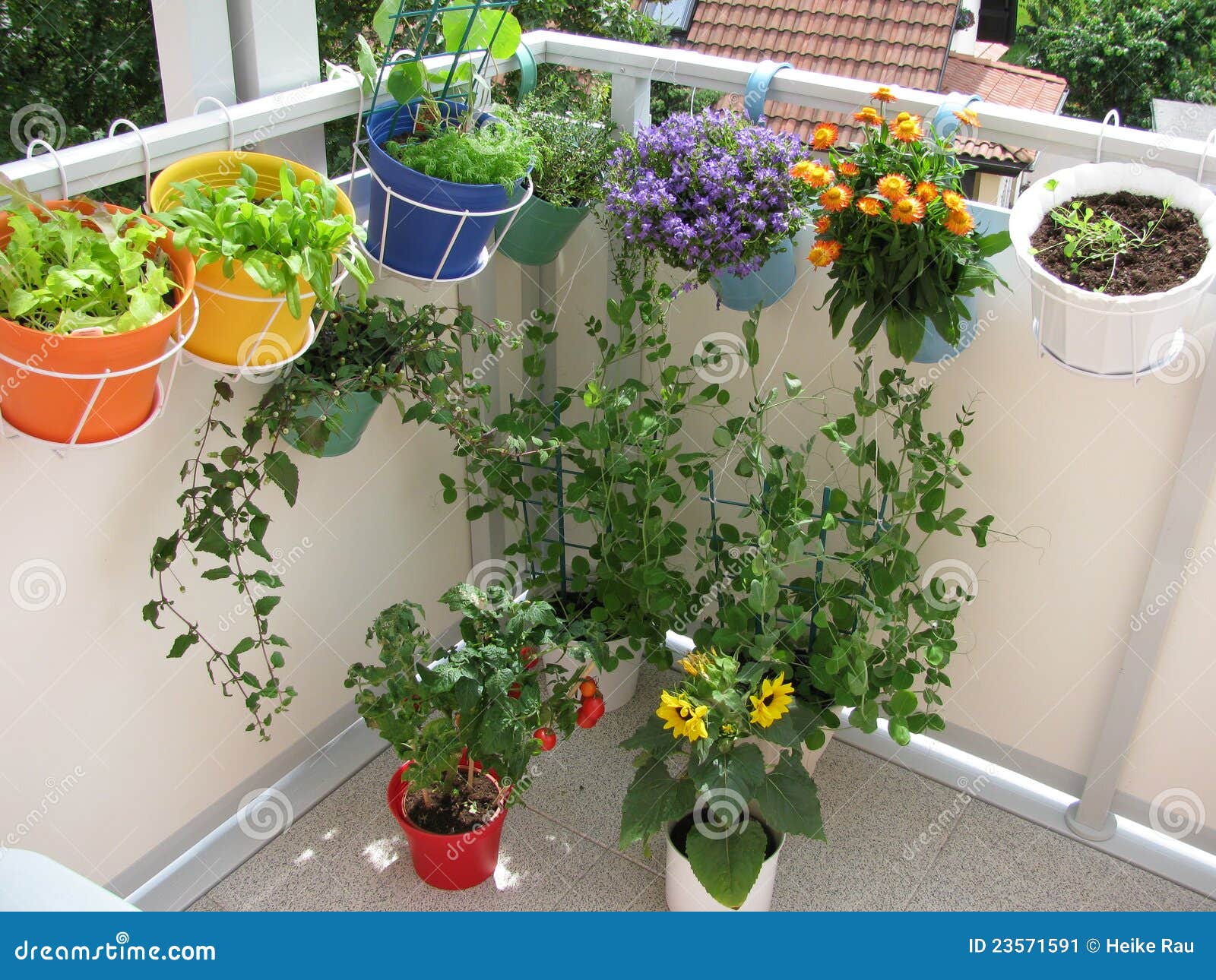 Balcony with Flowers and Vegetables Stock Image - Image of balcony ...