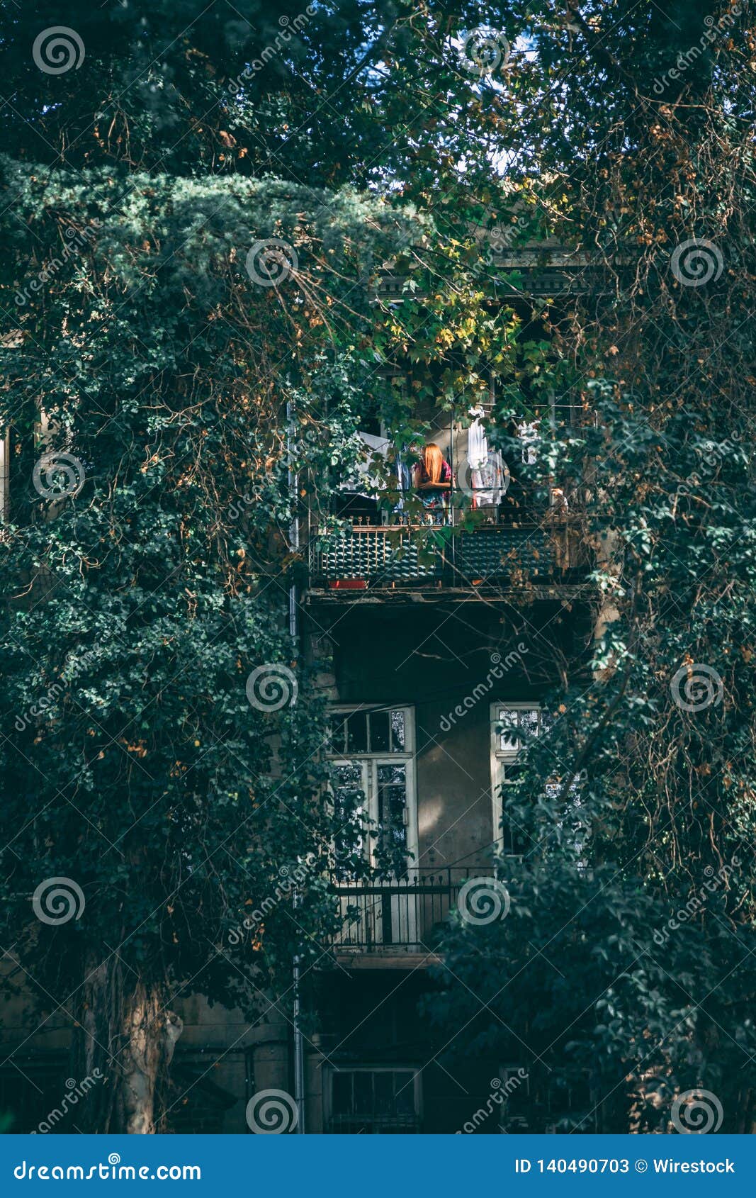 Balcony with Overgrown Greenery Stock Image - Image of nature, blue ...