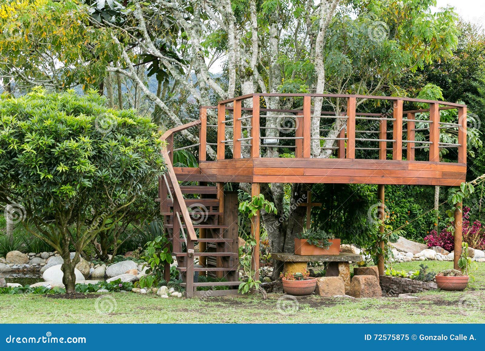 Balcony Wooden Platform Around a Tree Stock Image - Image of exterior ...
