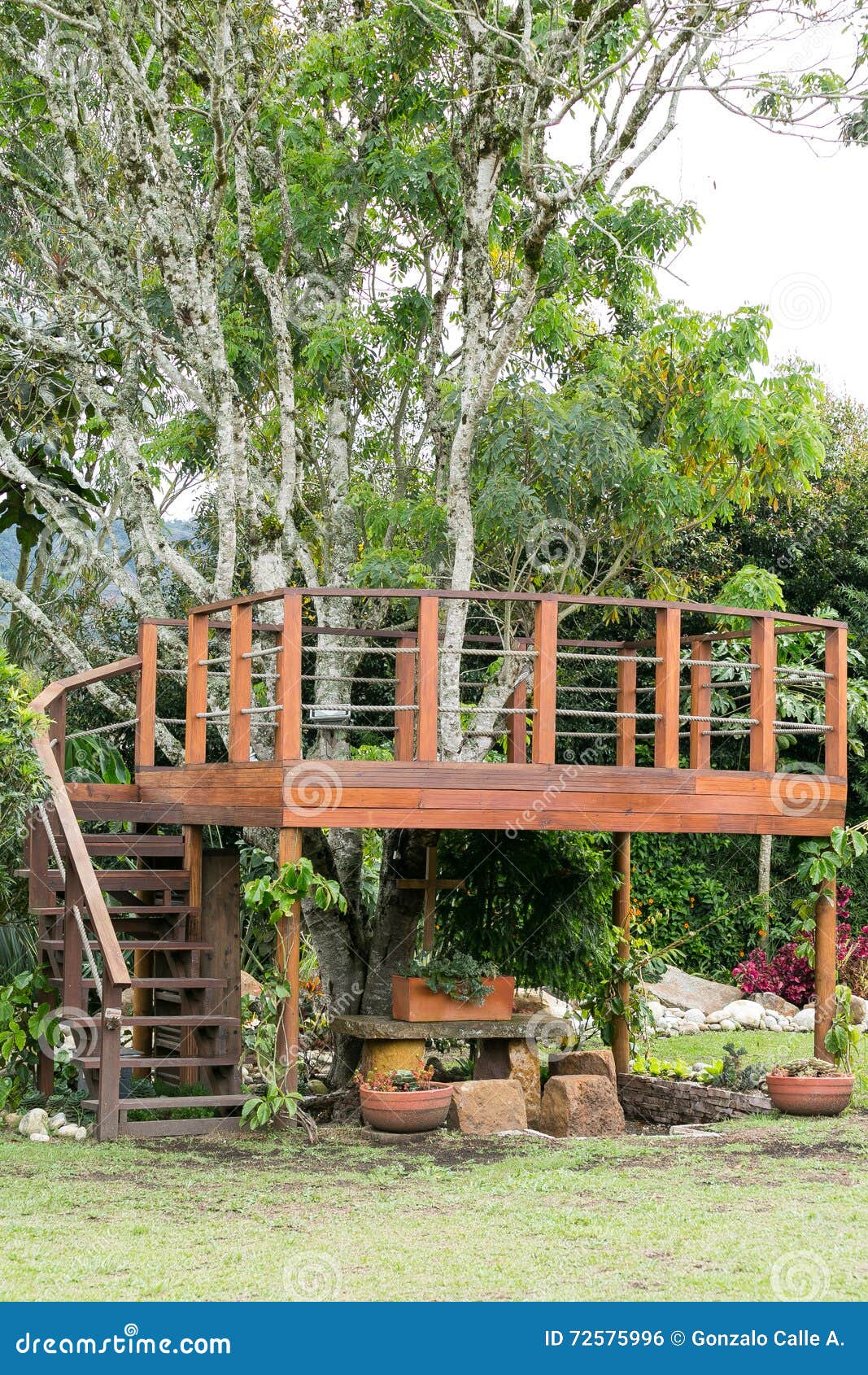 Balcony Wooden Platform Around a Tree Stock Photo - Image of home ...