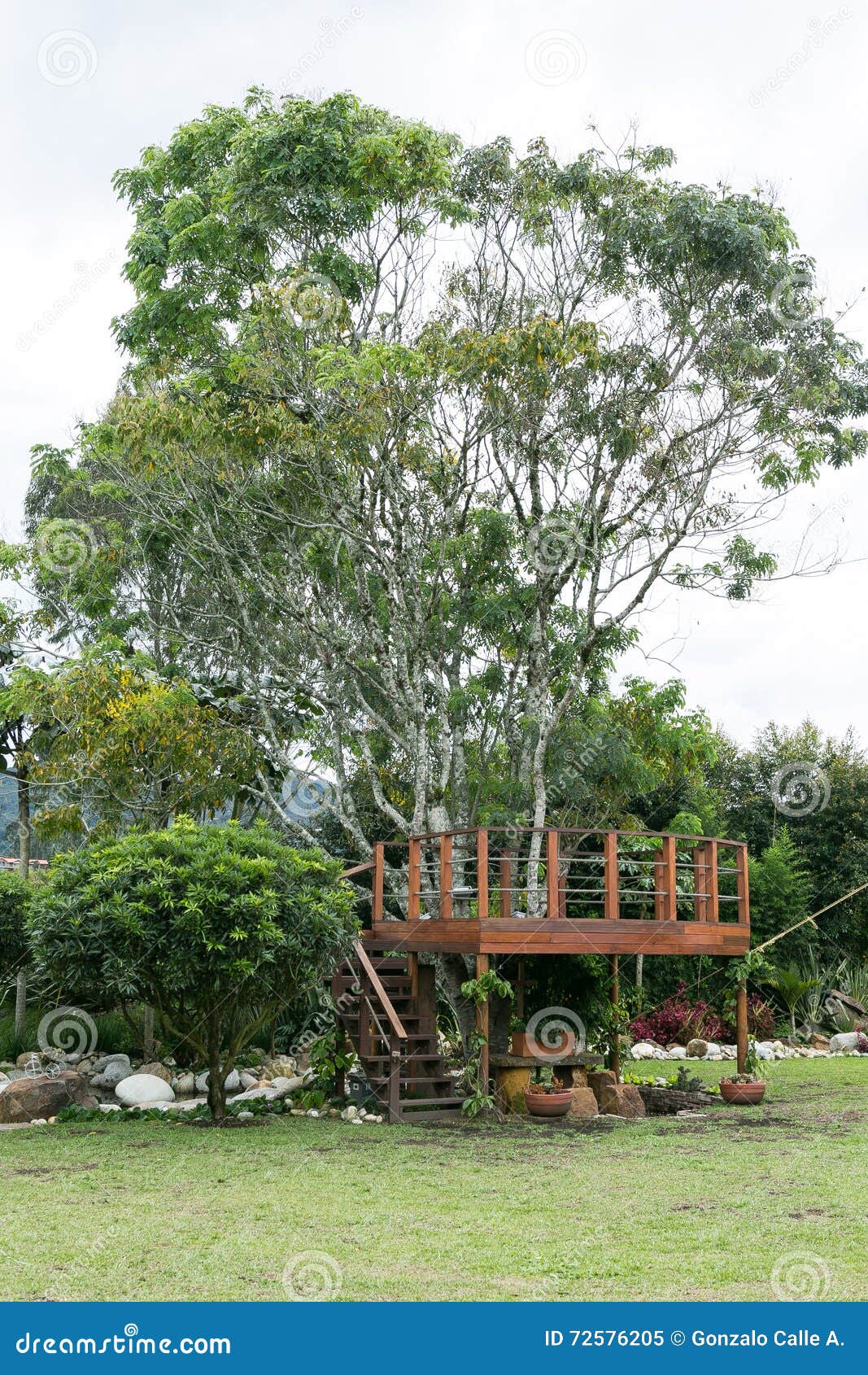 Balcony Wooden Platform Around a Tree Stock Image - Image of home ...