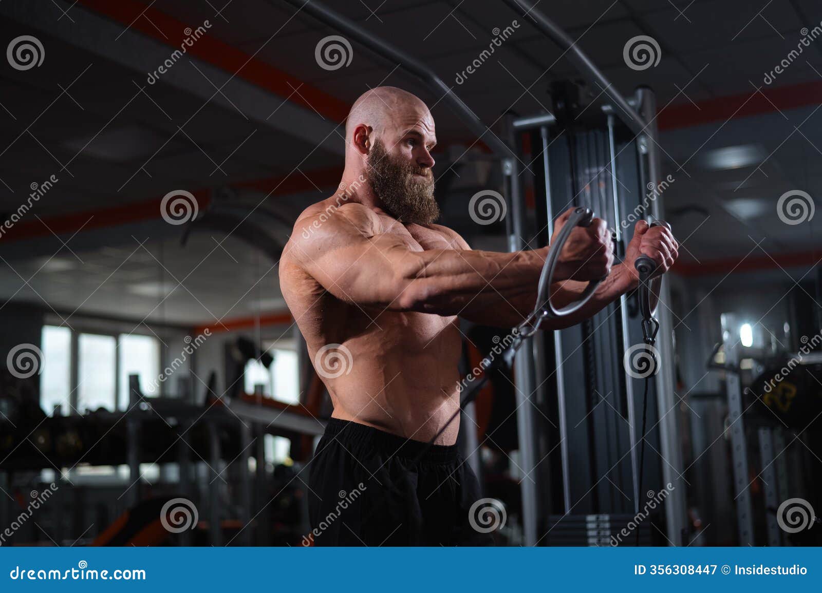 Bald Caucasian Bodybuilder Doing Heavy Triceps Exercises With Cable ...