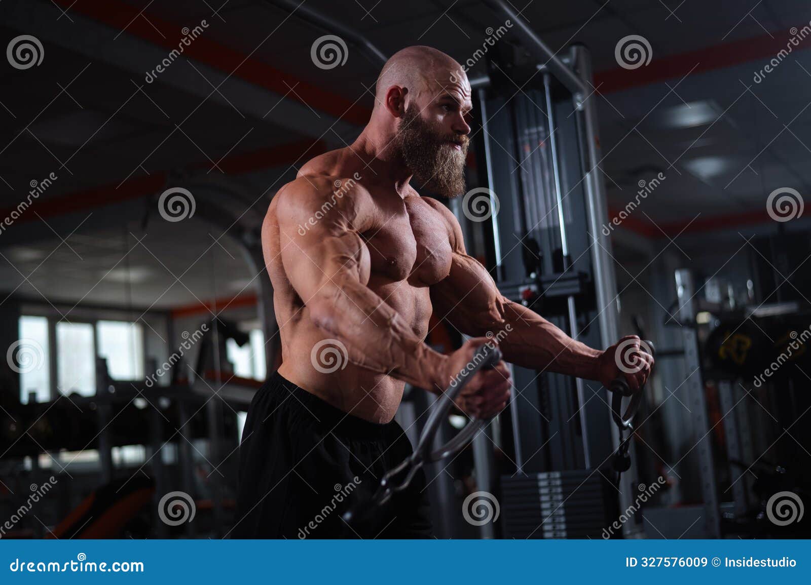 Bald Caucasian Bodybuilder Training Chest Using Cable Crossover in Gym ...