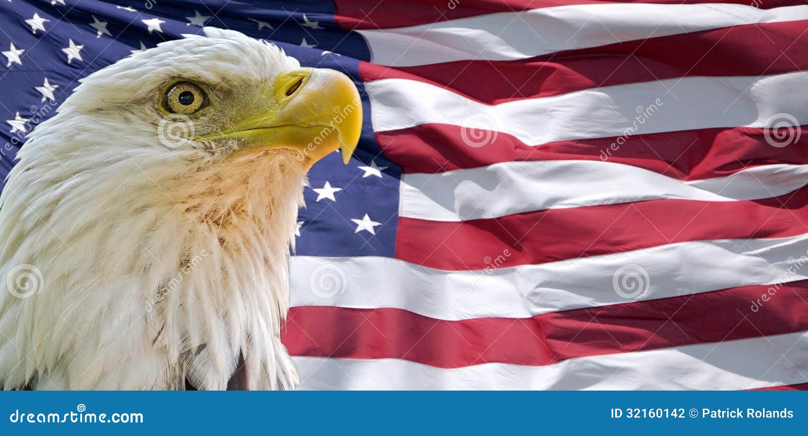 Bald Eagle and American Flag Stock Photo - Image of stripes, raptor ...