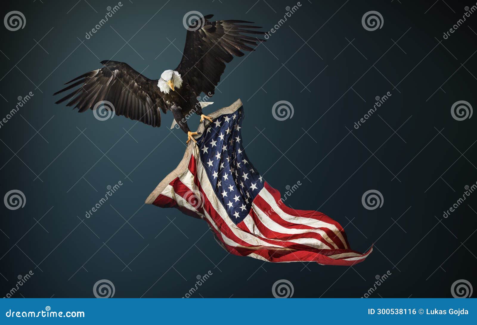 Bald Eagle with American Flag Stock Photo - Image of raptor, eagle ...