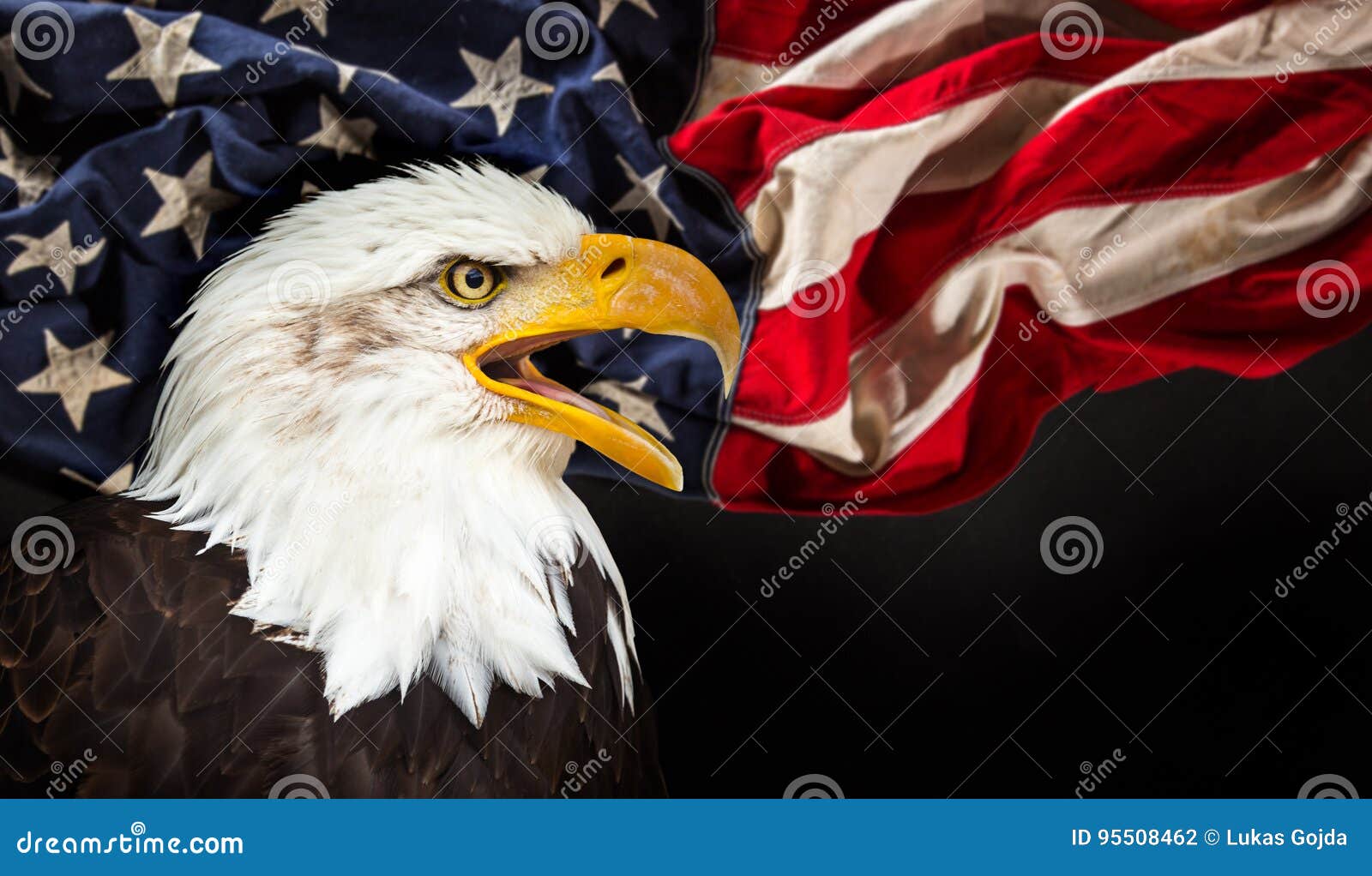 Bald Eagle with American Flag Stock Photo - Image of festival, nation ...