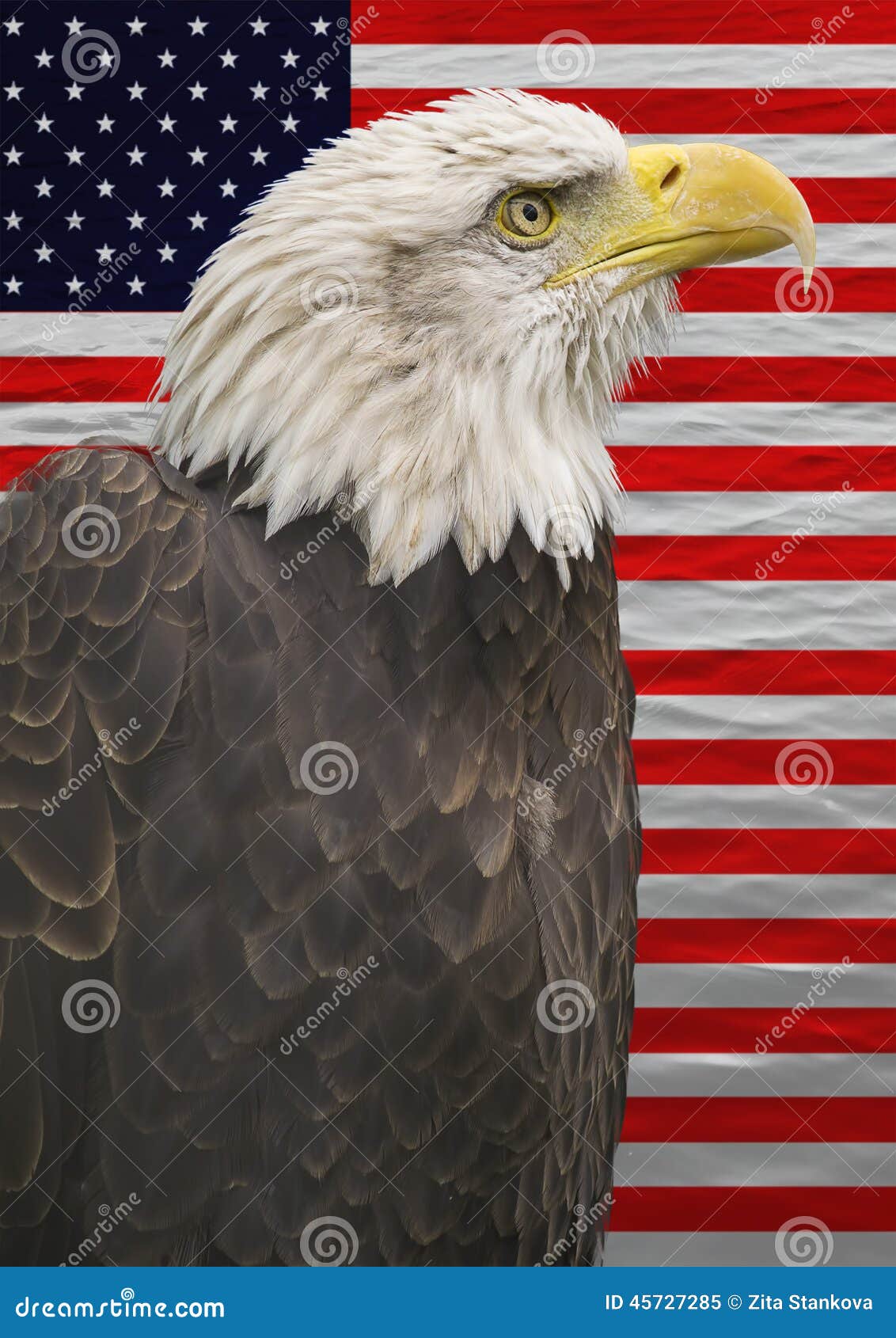 Bald Eagle With The American Flag Stock Image | CartoonDealer.com #45727285
