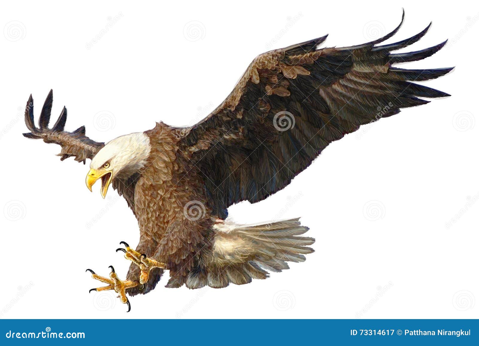 Attack Eagle Stock Illustrations – 1,776 Attack Eagle Stock ...