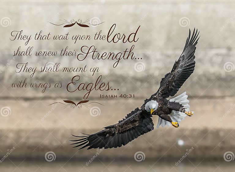 Bald Eagle Bible Verse stock photo. Image of female - 141686950