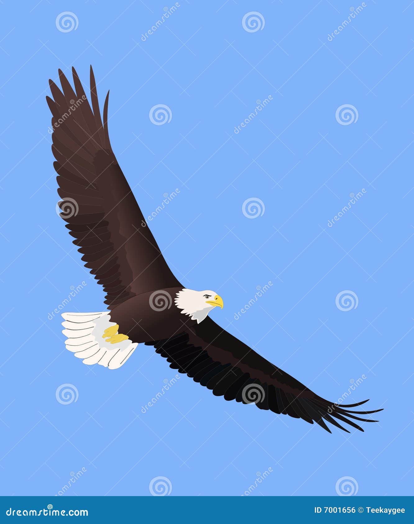 Bald eagle flying stock vector. Illustration of clipart - 7001656