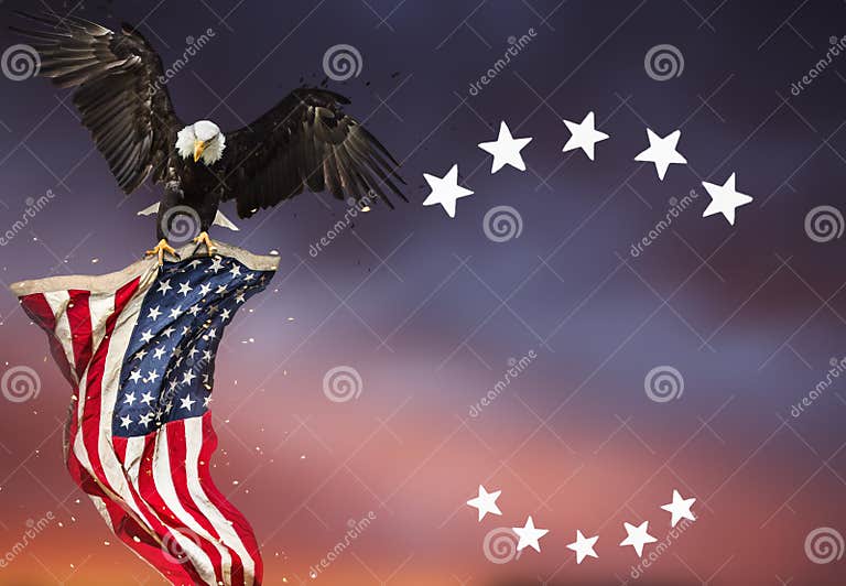 Bald Eagle Flying with American Flag Stock Photo - Image of eagle ...
