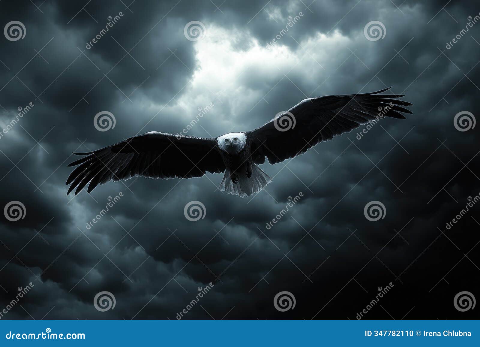 Bald Eagle Flying through Dark Storm Clouds Stock Illustration ...