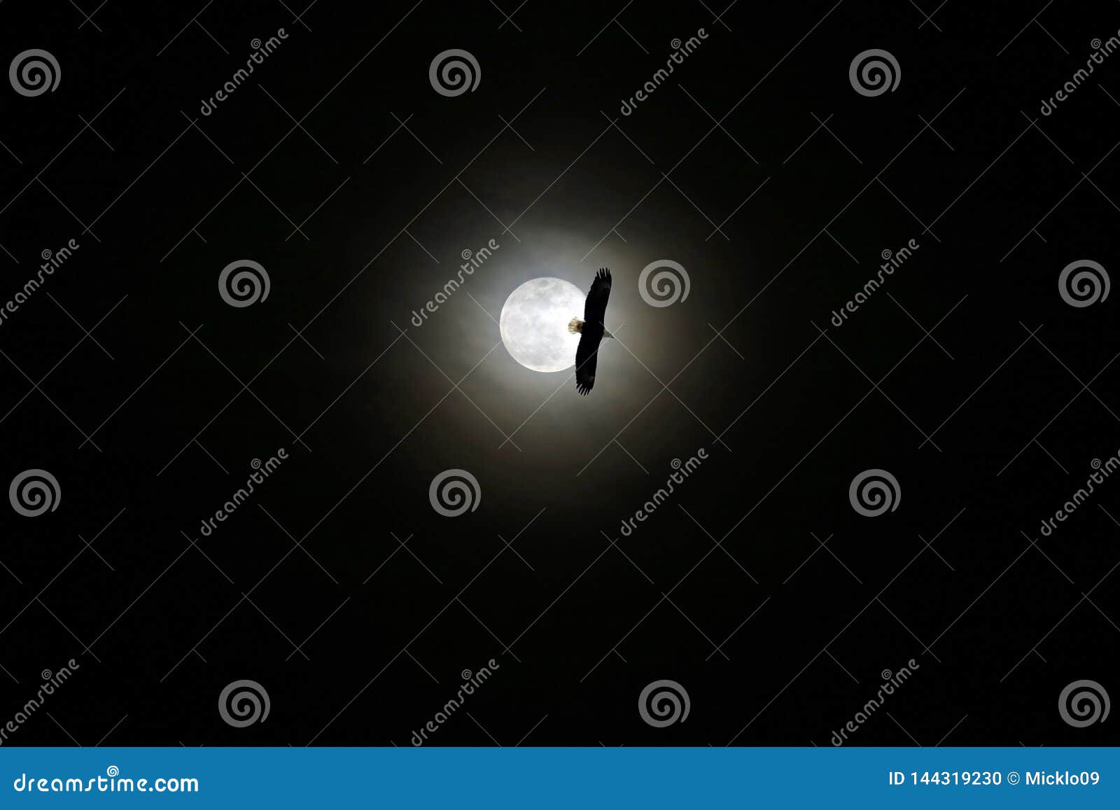 Bald eagle and full moon stock photo. Image of craters - 144319230