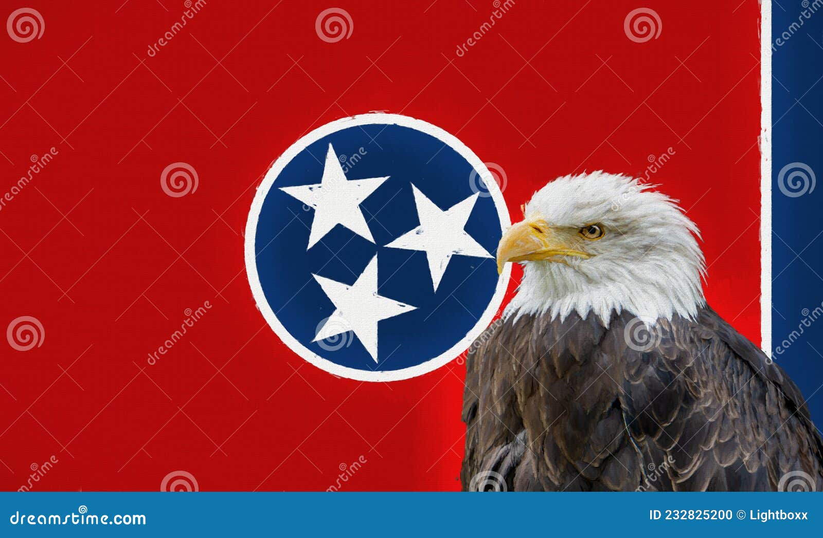 Bald Eagle in Front of the Tennessee Flag Stock Illustration ...