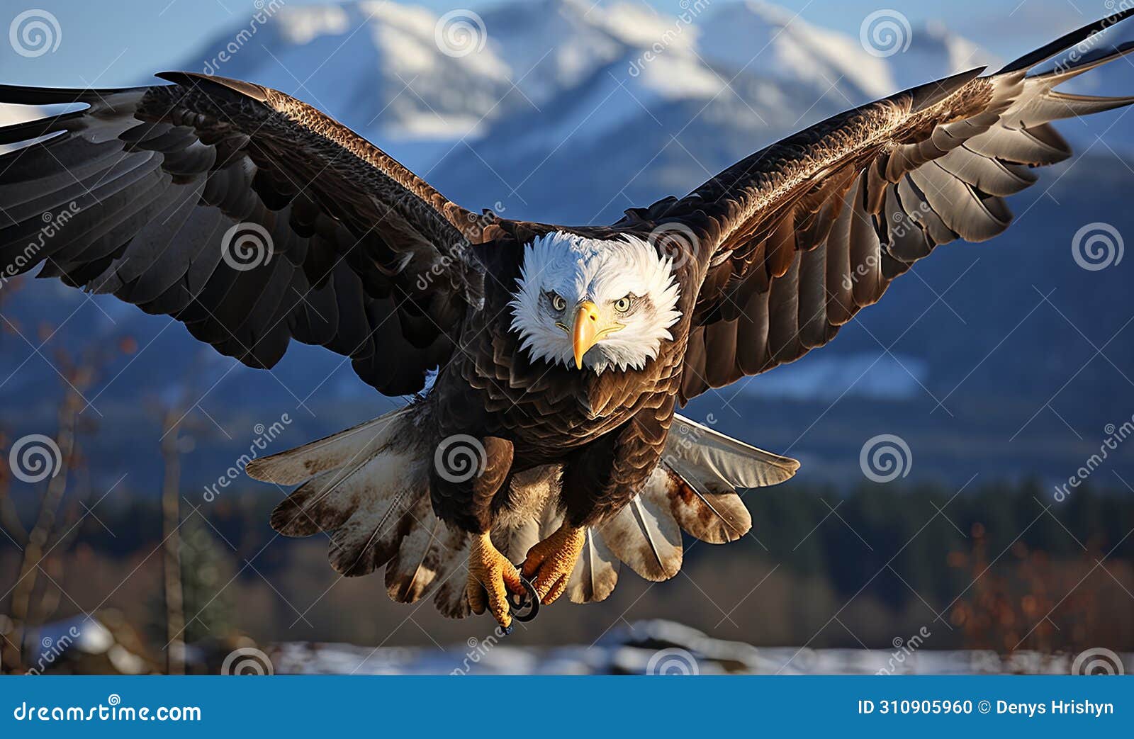 Bald Eagle Flying Over Mountain Range Stock Photo - Image of eagle ...