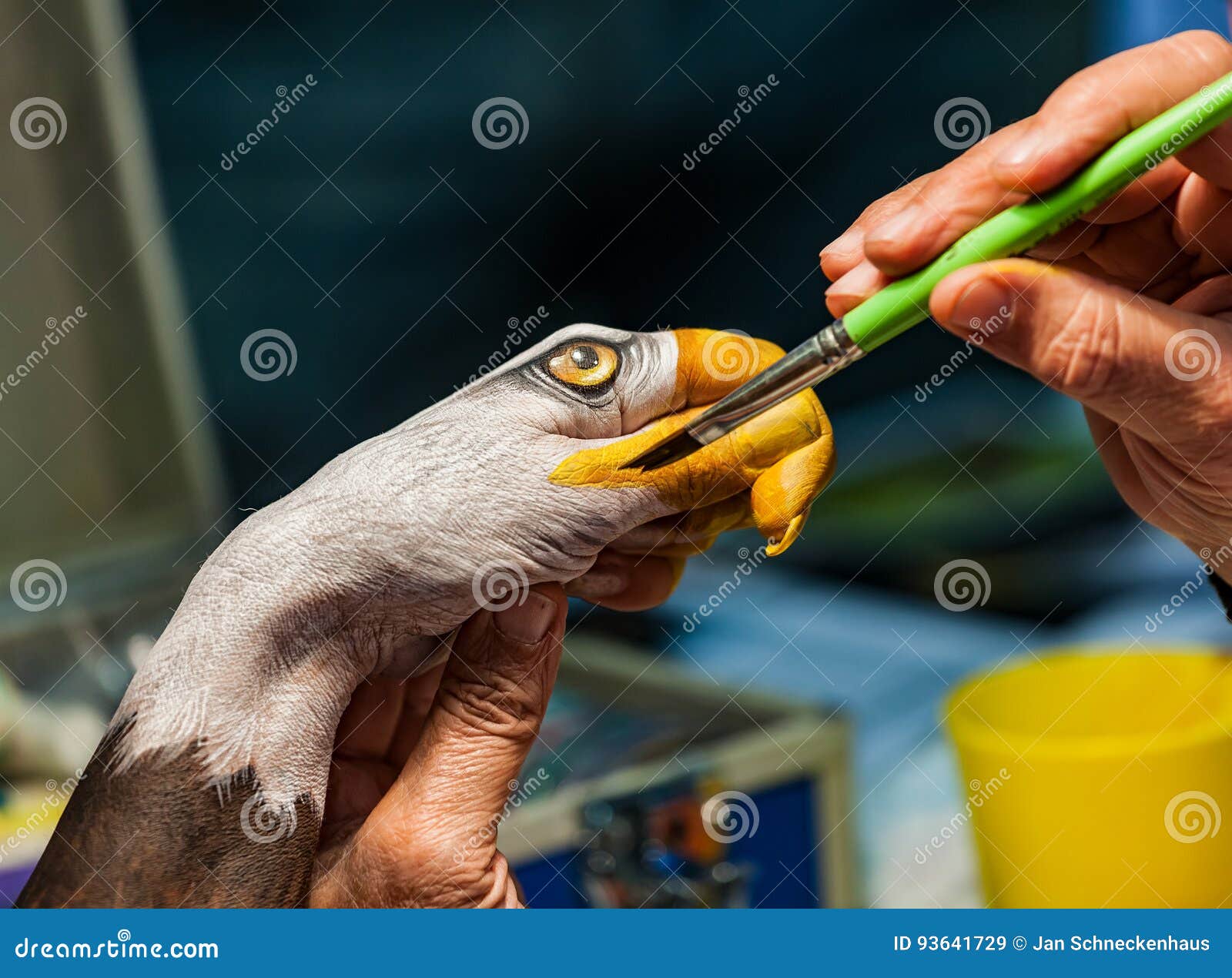 Bald eagle on a hand stock image. Image of colorful, finger - 93641729
