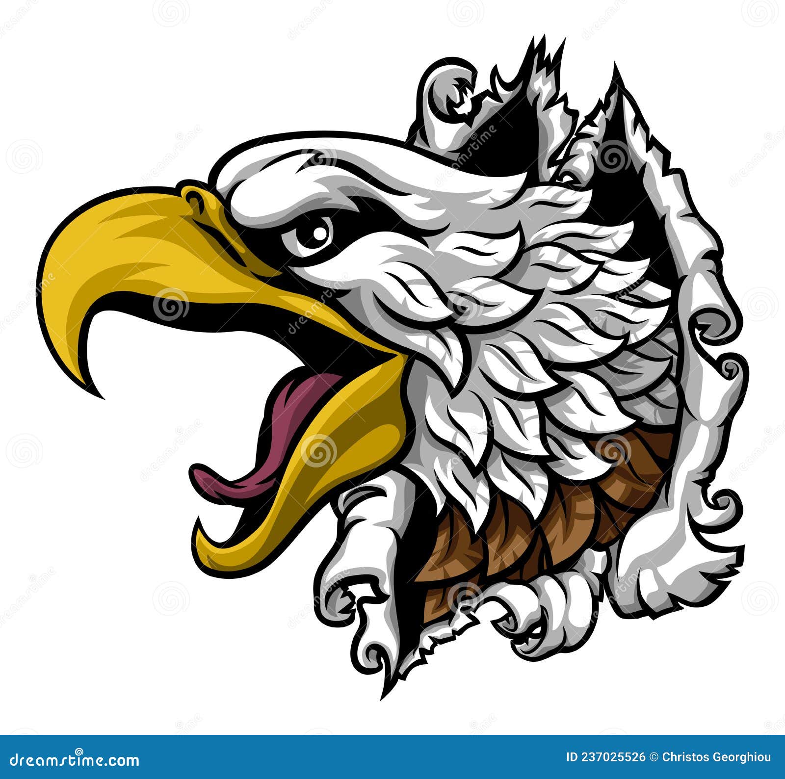 Hawks Head Logo Template, Hawk Mascot Graphic Cartoon Vector ...