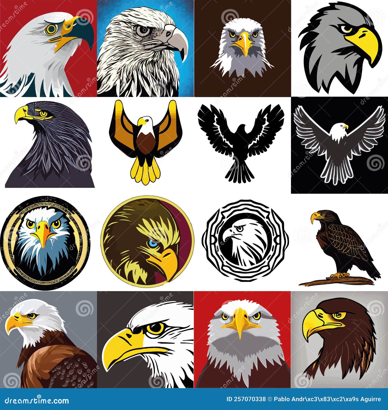 Bald Eagle Isolated on White. Collection Stock Vector - Illustration of ...