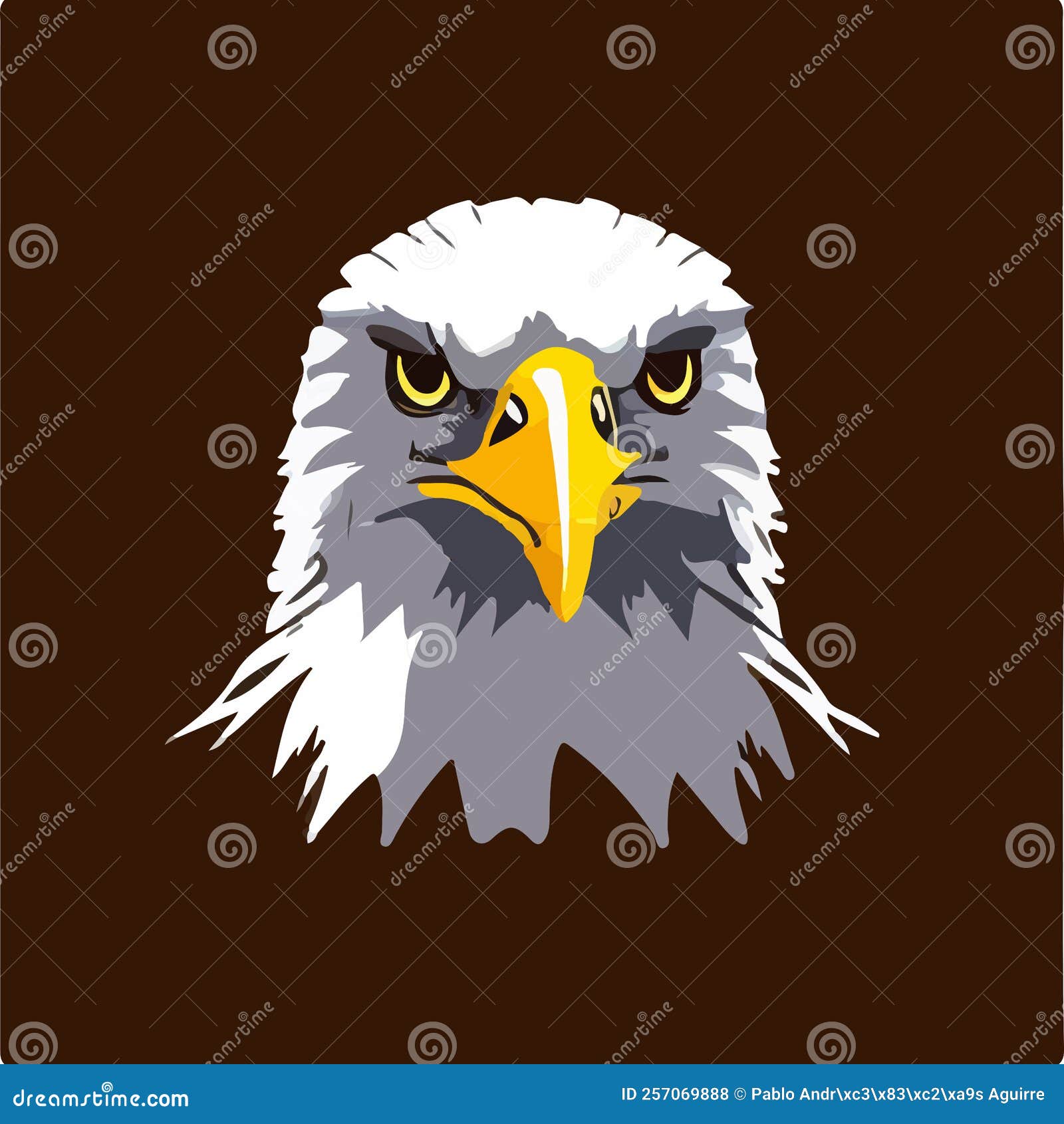 Bald Eagle Isolated On White Stock Vector Illustration Of Vector Background 257069888