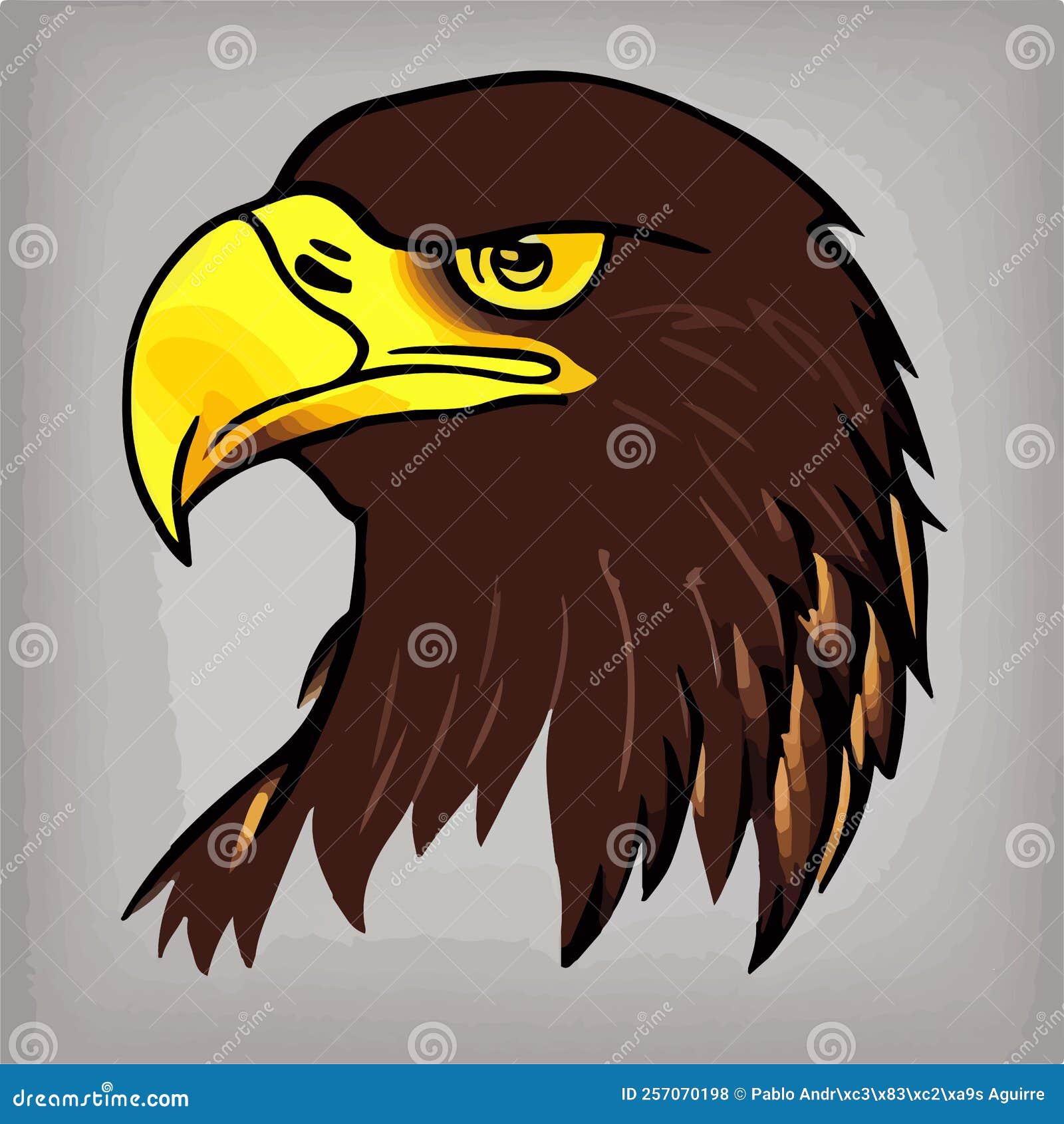 Bald Eagle Isolated on White. Stock Vector - Illustration of isolated ...