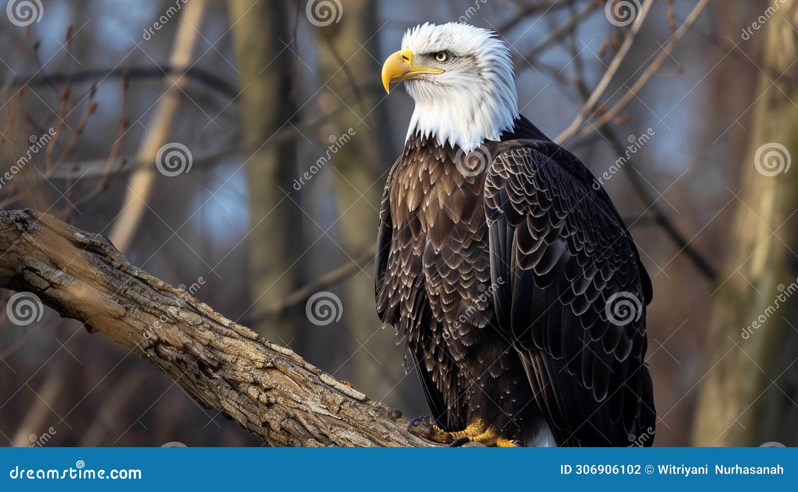 Bald Eagle Landing on a Branch. Generative Ai Stock Illustration ...