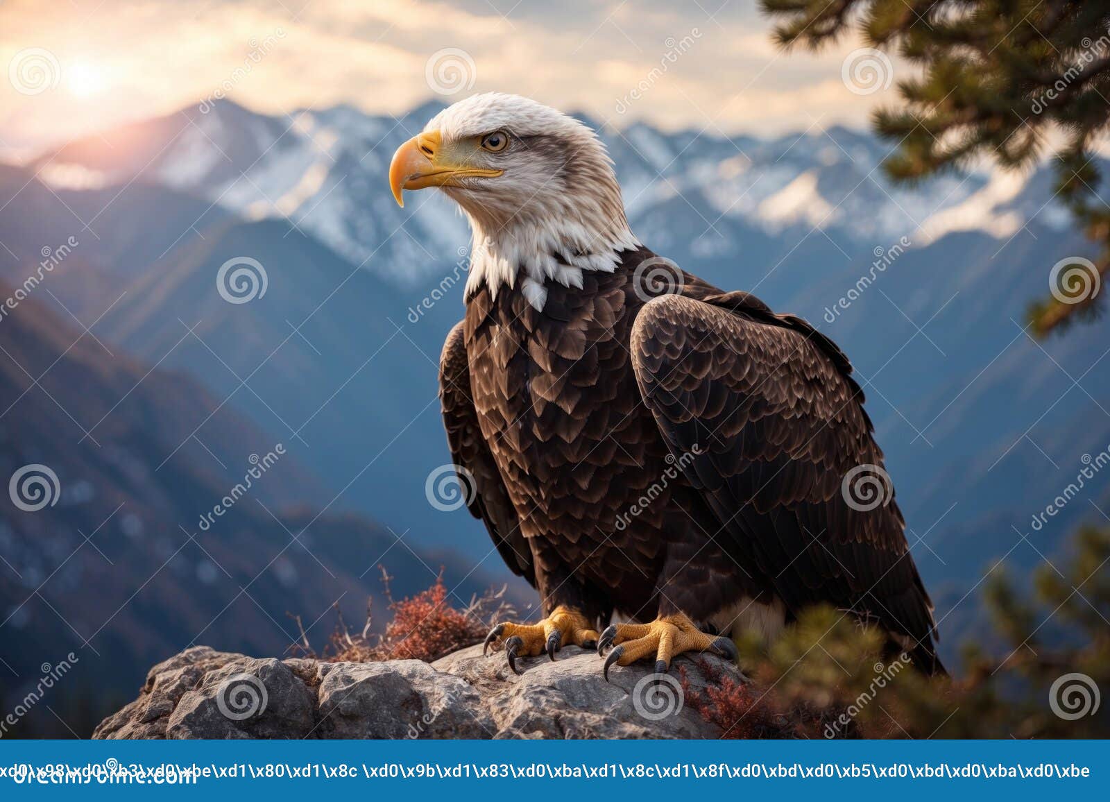 Bald Eagle in the Mountains with a Beautiful Background. Bald Eagle in ...
