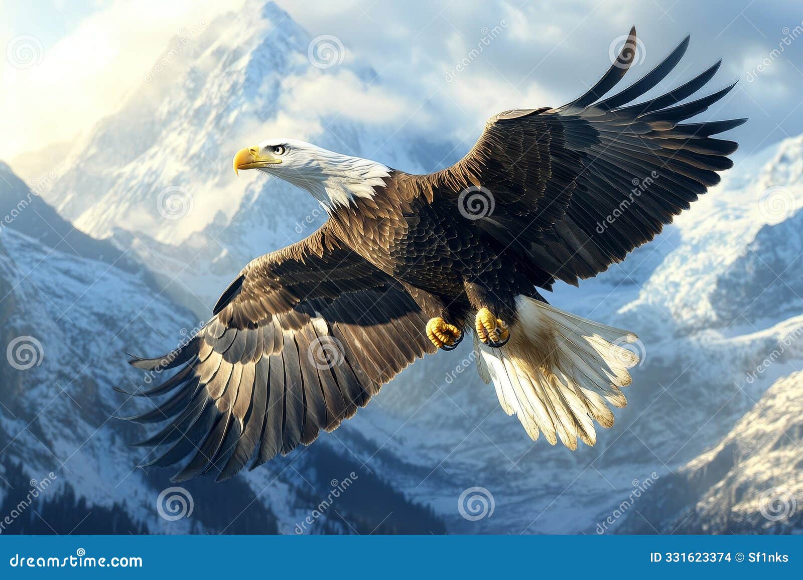 Bald Eagle with Outstretched Wings Flying Against Backdrop of Snow ...