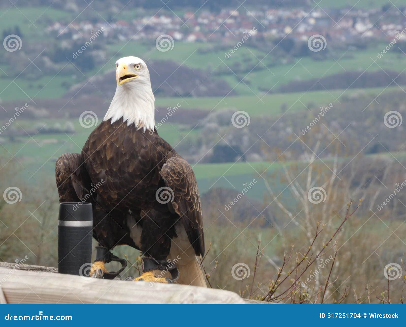 GPS Surveying In Field, Global Positioning System Royalty-Free Stock ...